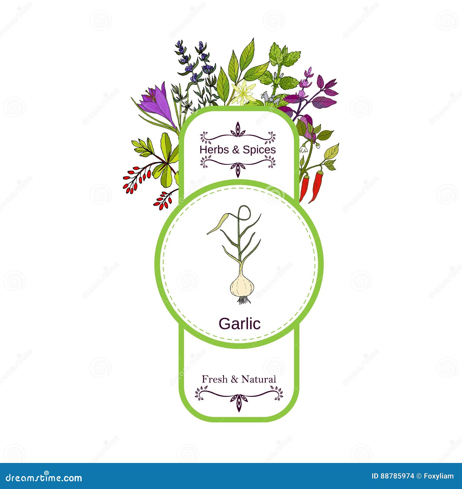 Garlic Label Stock Illustrations – 2,703 Garlic Label Stock ...