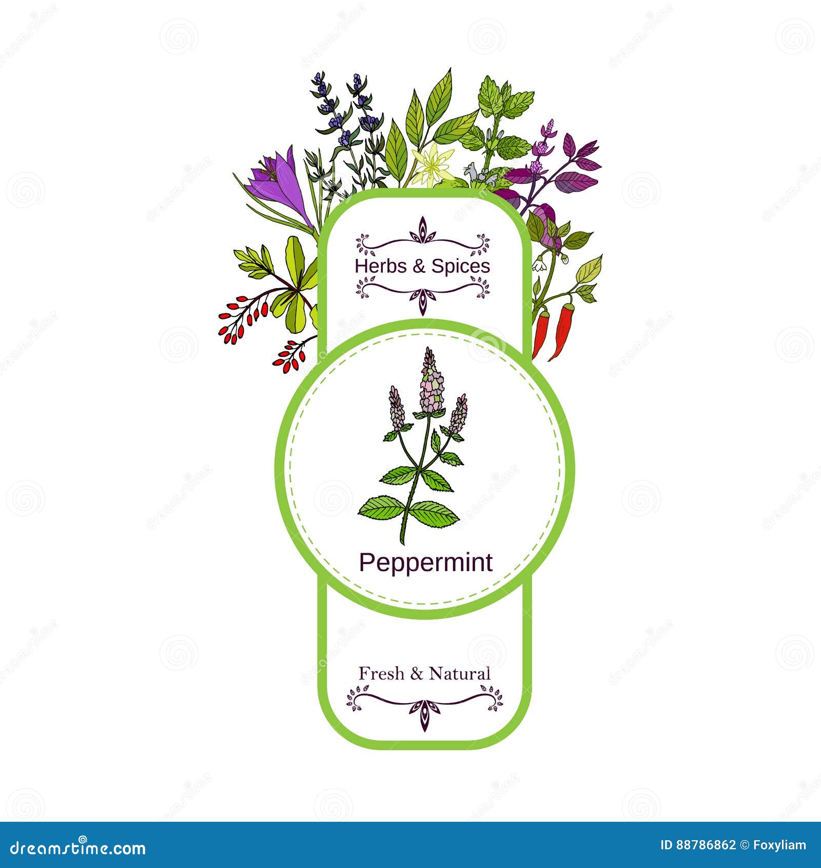 Ink Peppermint Hand Drawn Sketch Vector Illustration | CartoonDealer ...