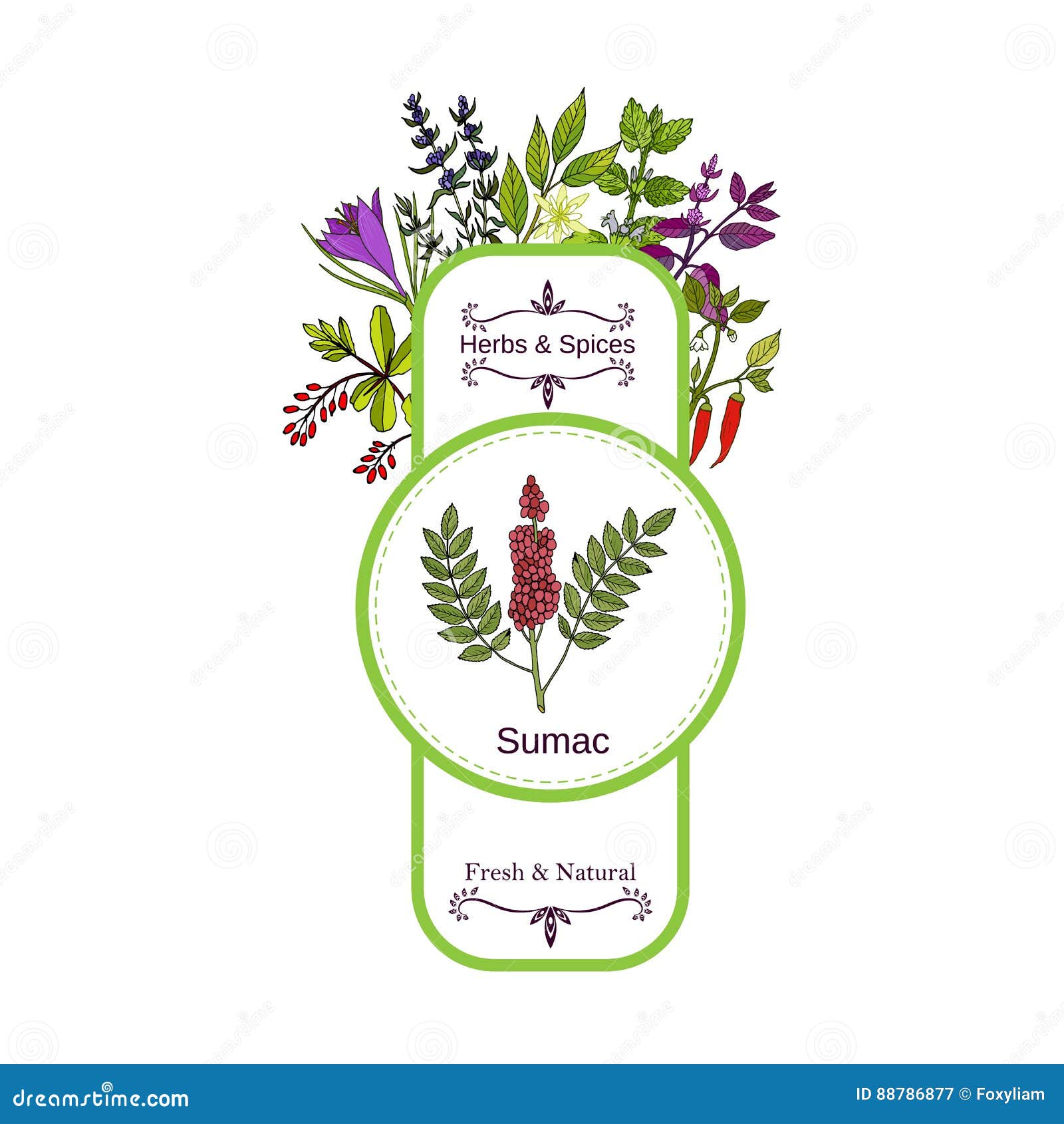 Vintage Herbs and Spices Label Collection. Sumac Stock Vector ...
