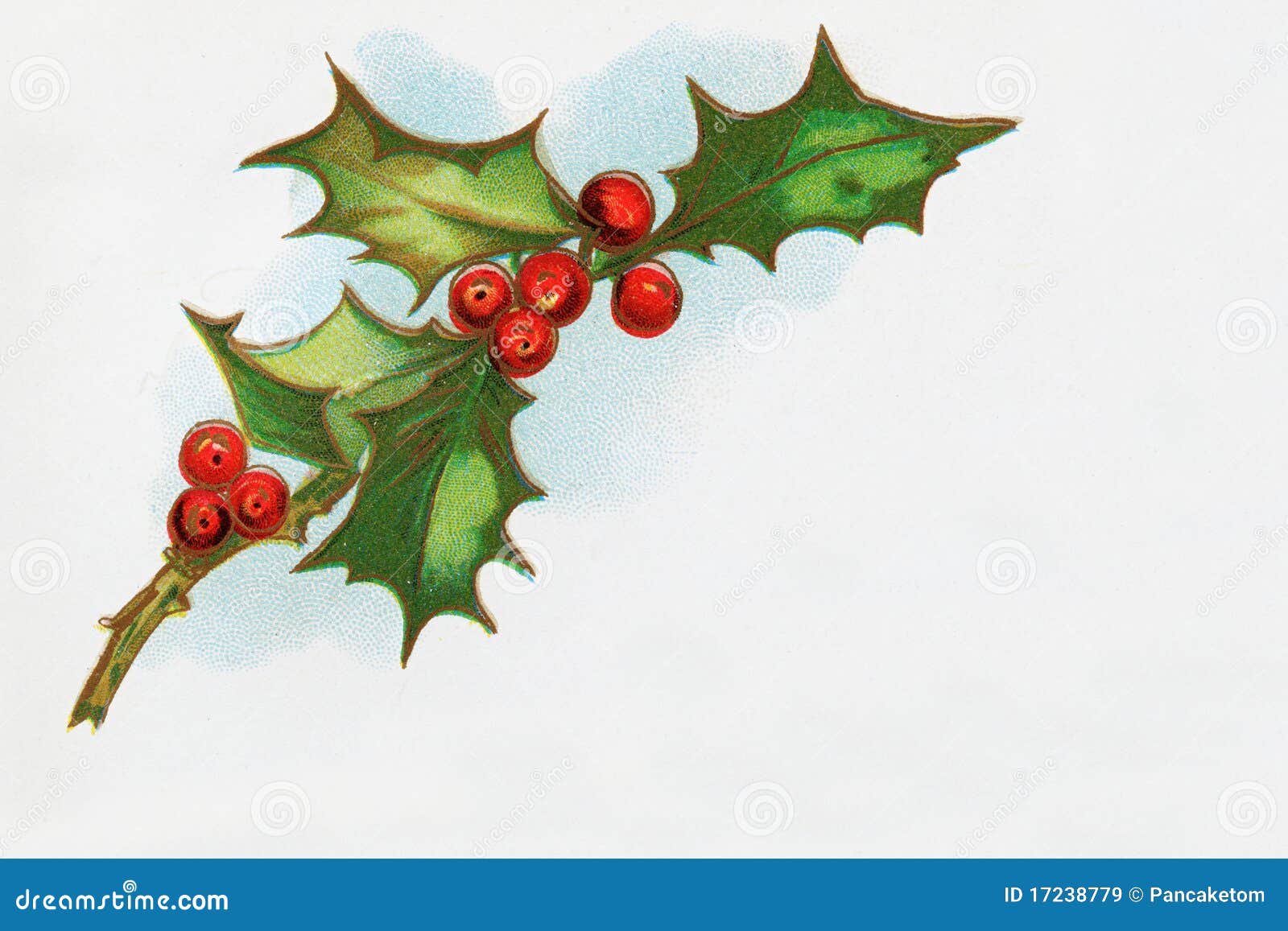 Vintage holly print stock image. Image of blue, 19th - 17238779