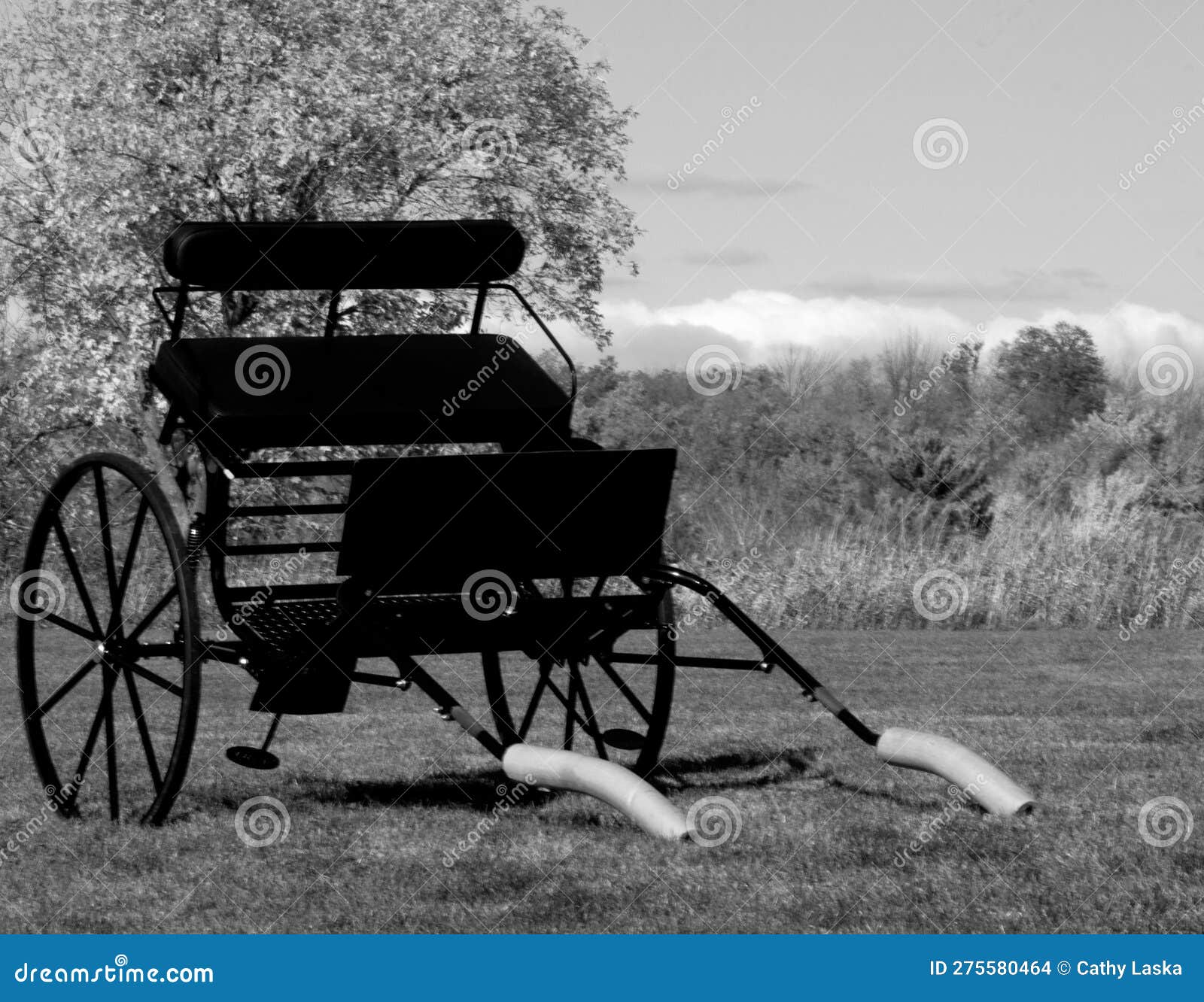 Old Horse Buggy Royalty-Free Stock Photography | CartoonDealer.com ...