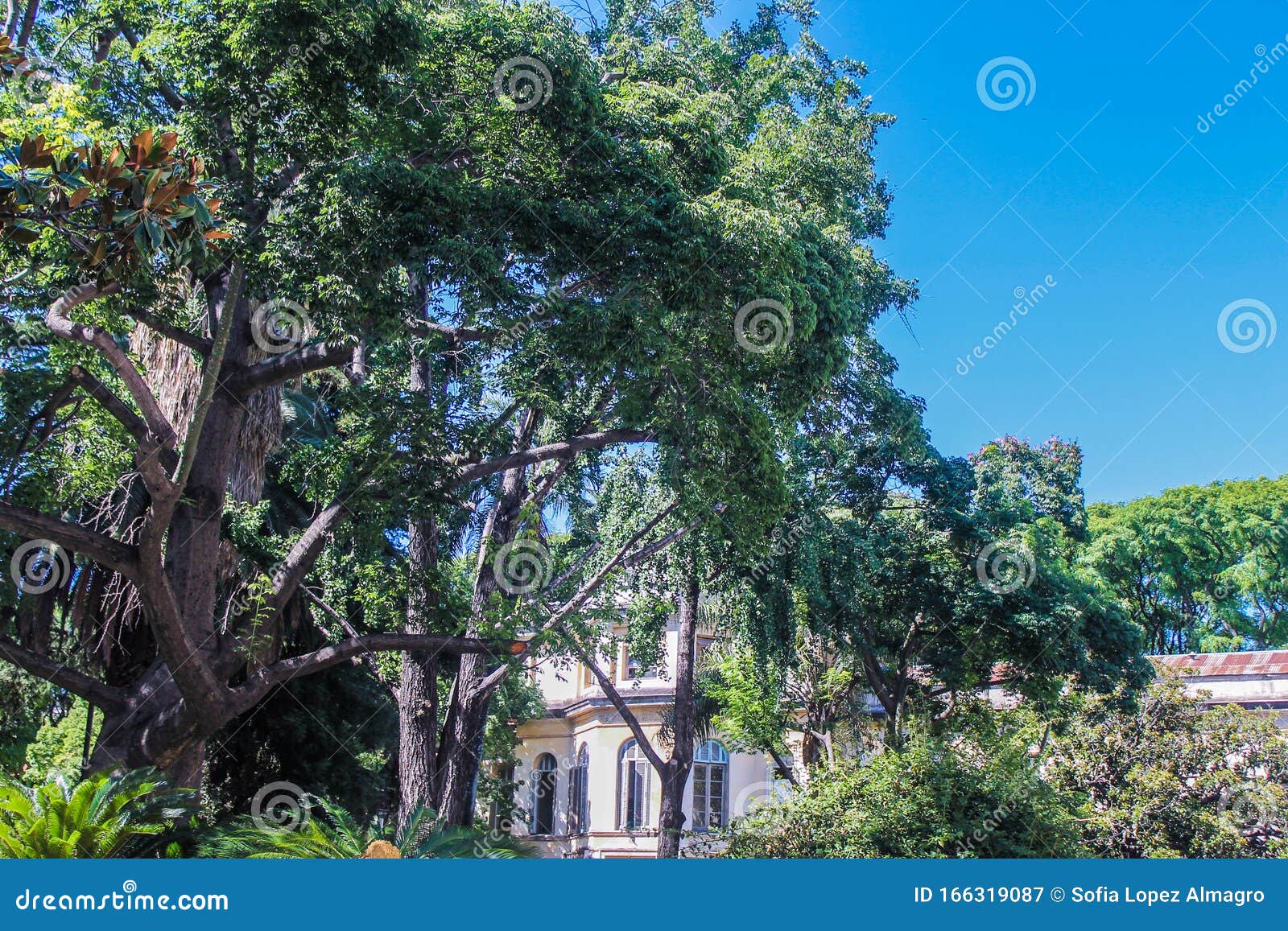 Vintage House Exterior Building Retro Residential Stock Image - Image ...
