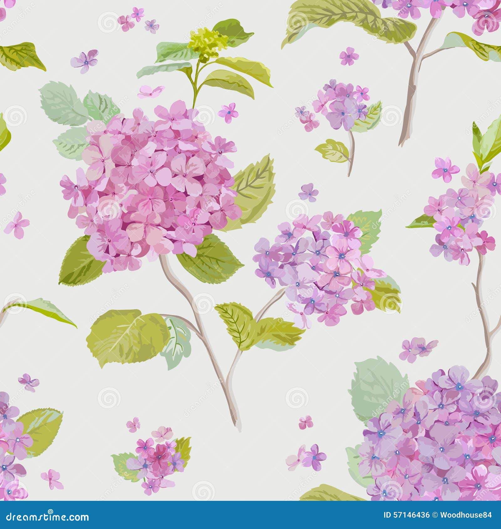 Vintage Hydrangea Background Stock Vector - Illustration of border ...
