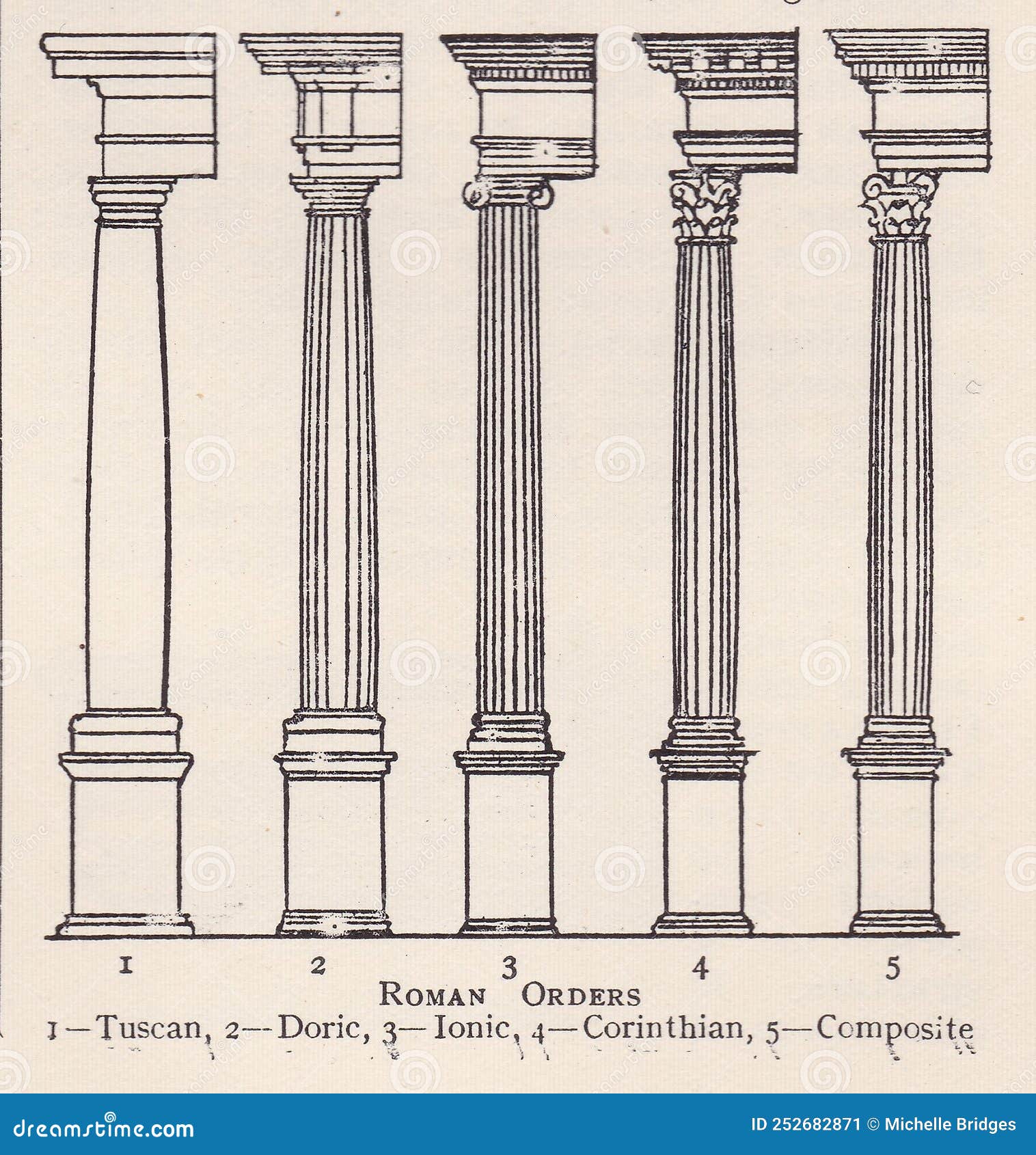 Vintage Illustration Diagram of Columns - Roman Orders. Editorial Photo ... Vintage Illustration Diagram of Columns - Roman Orders. Editorial Photo ...