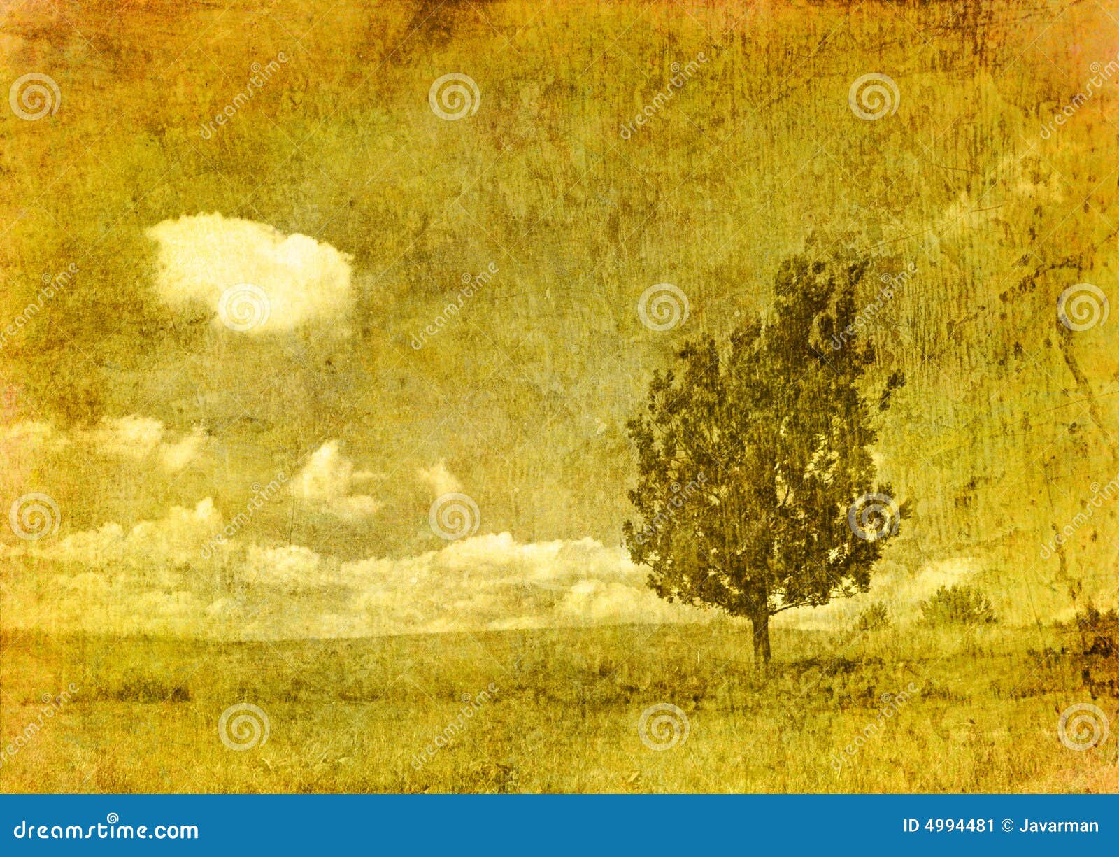 Vintage image of tree stock illustration. Illustration of pattern - 4994481