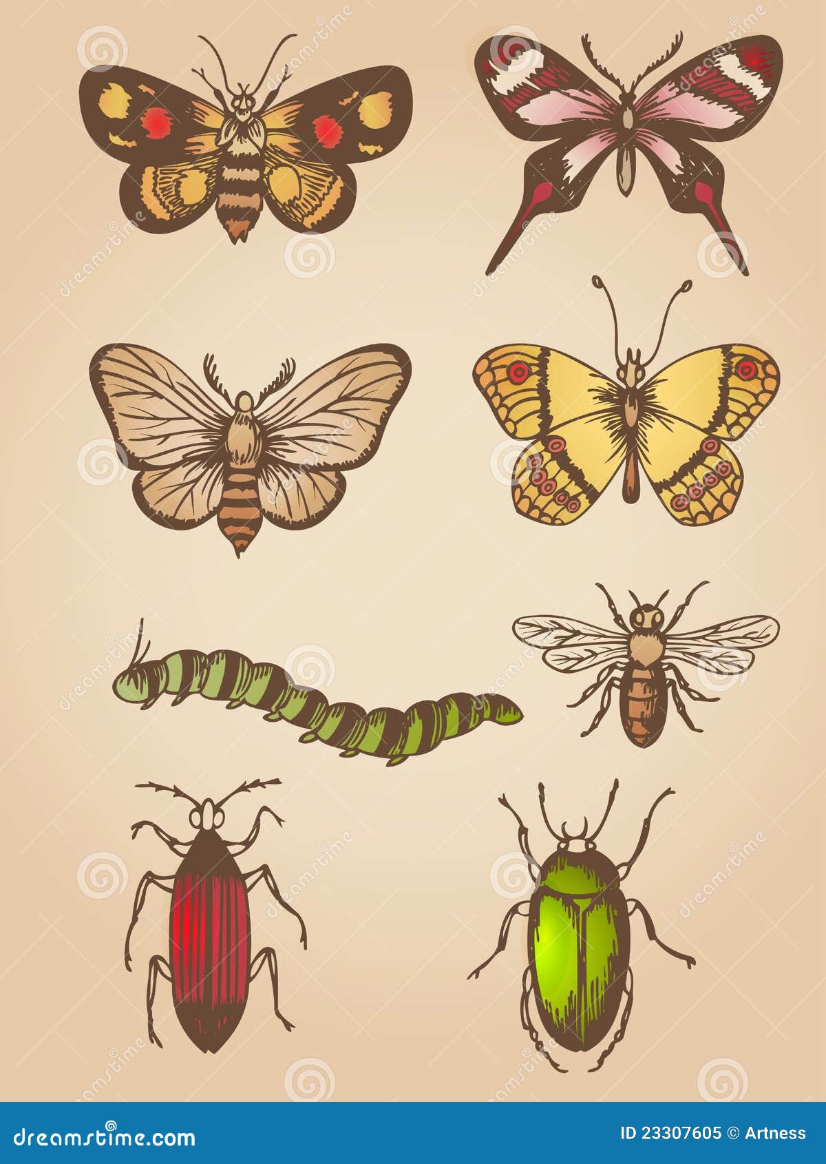 Vintage insects stock vector. Illustration of element - 23307605