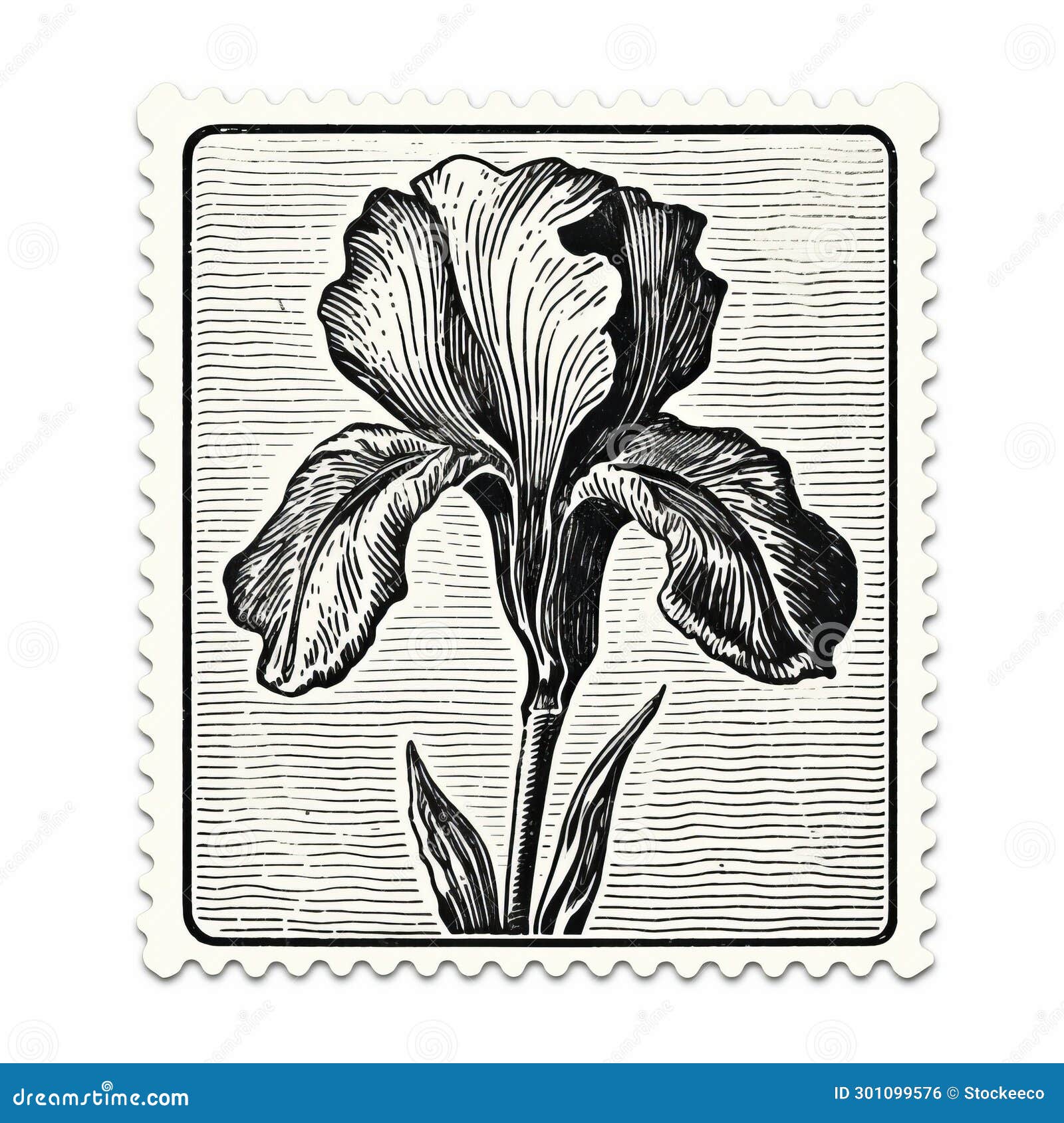 Minimalist Engraved Iris Postage Stamp Illustration on White Background ...