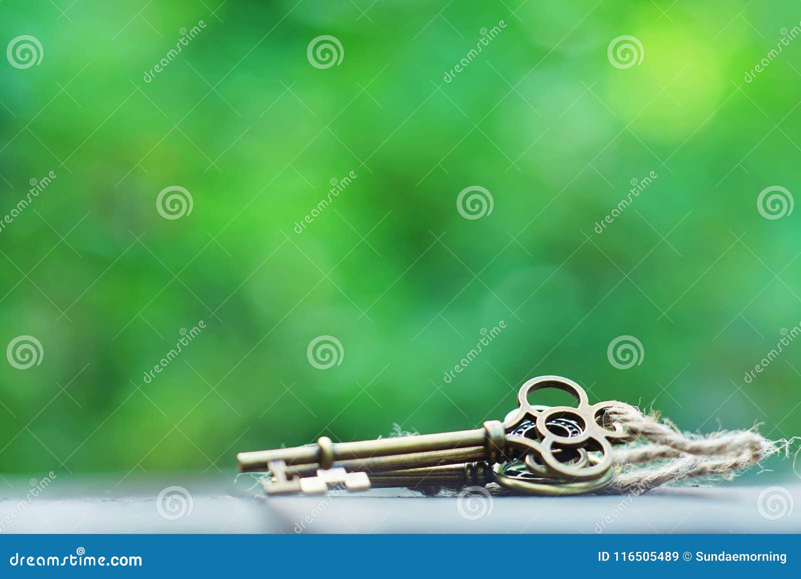 Vintage Keys with Blur Green Garden Background Stock Image - Image of ...