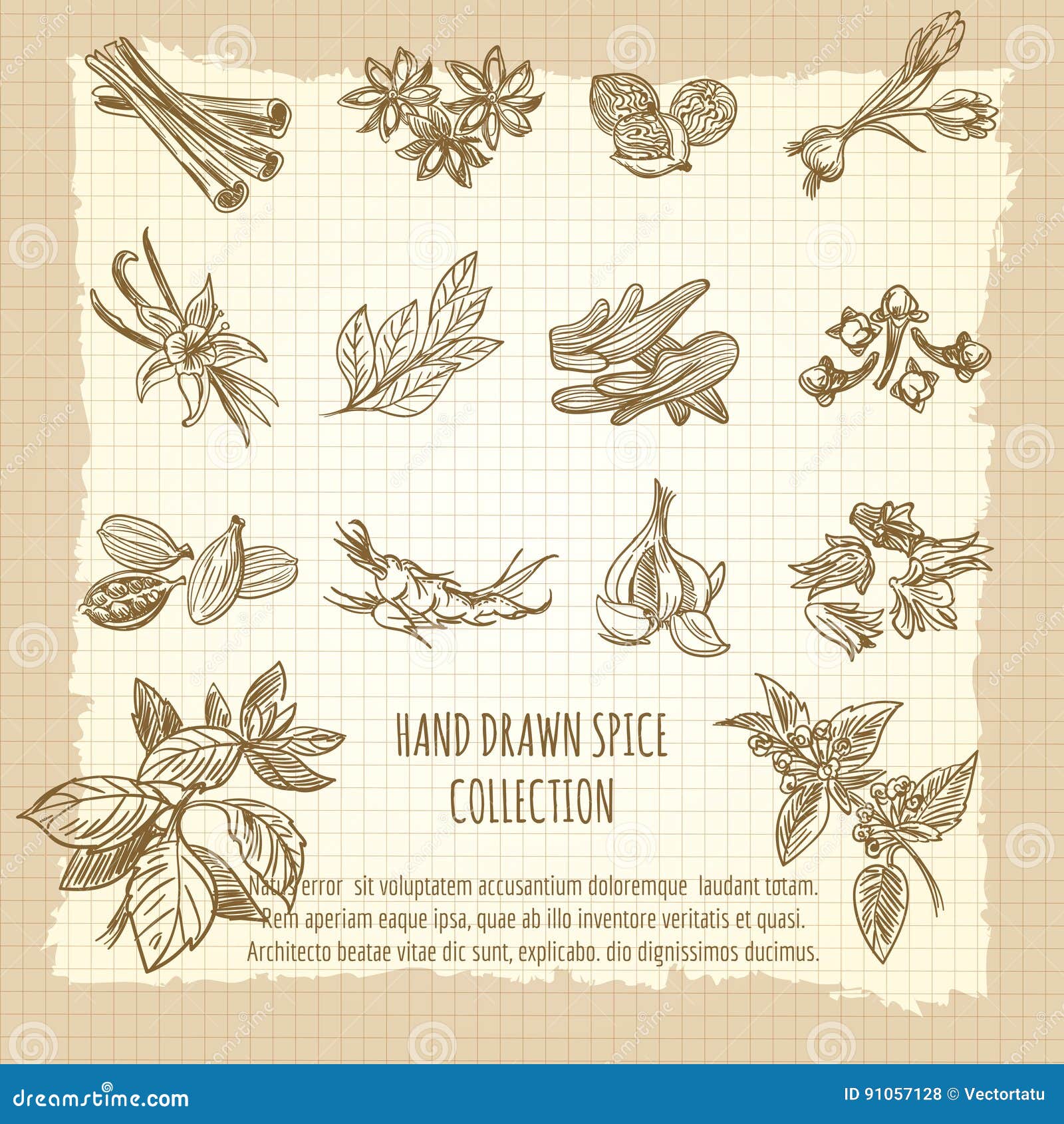 Vintage Kitchen Poster with Spice Collection Stock Vector ...