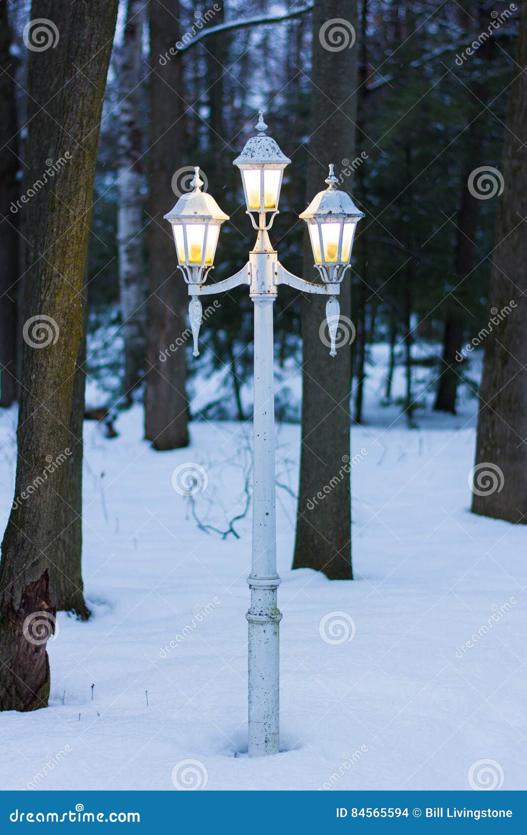 Vintage Lamp Post On A Winter Night In A Forest Stock Photo - Image of ...