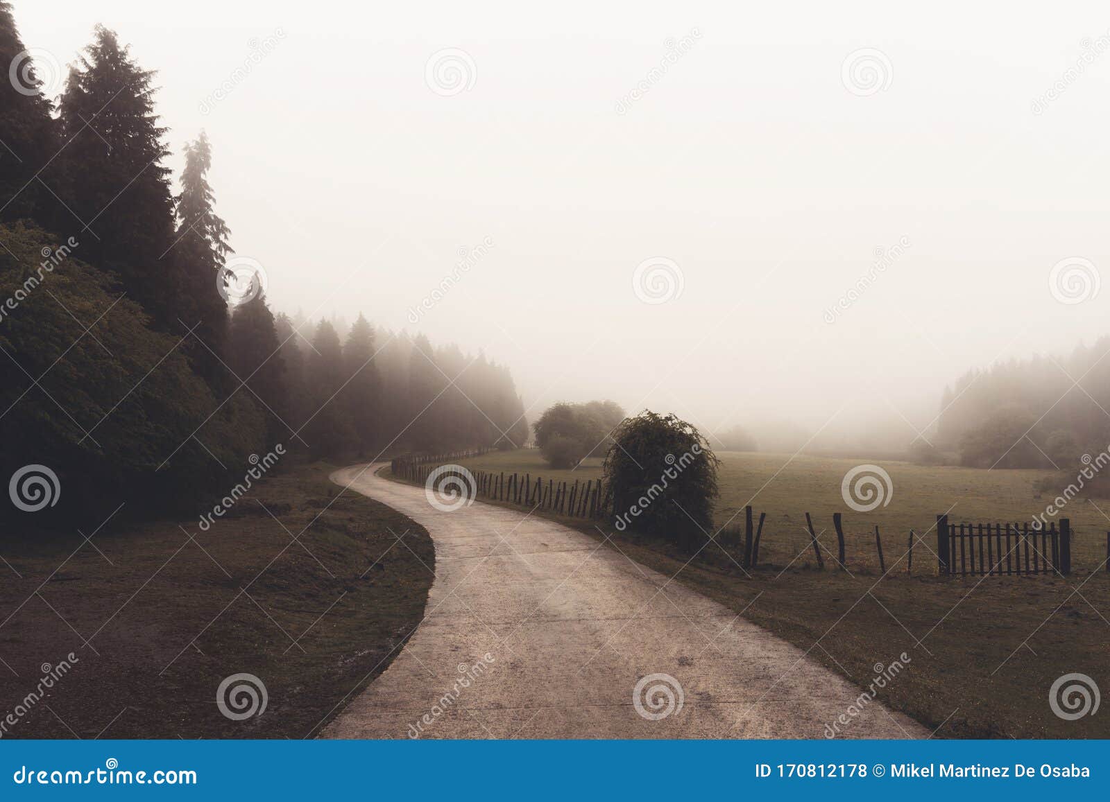 Vintage Landscape with Path on Nature Stock Photo - Image of space ...