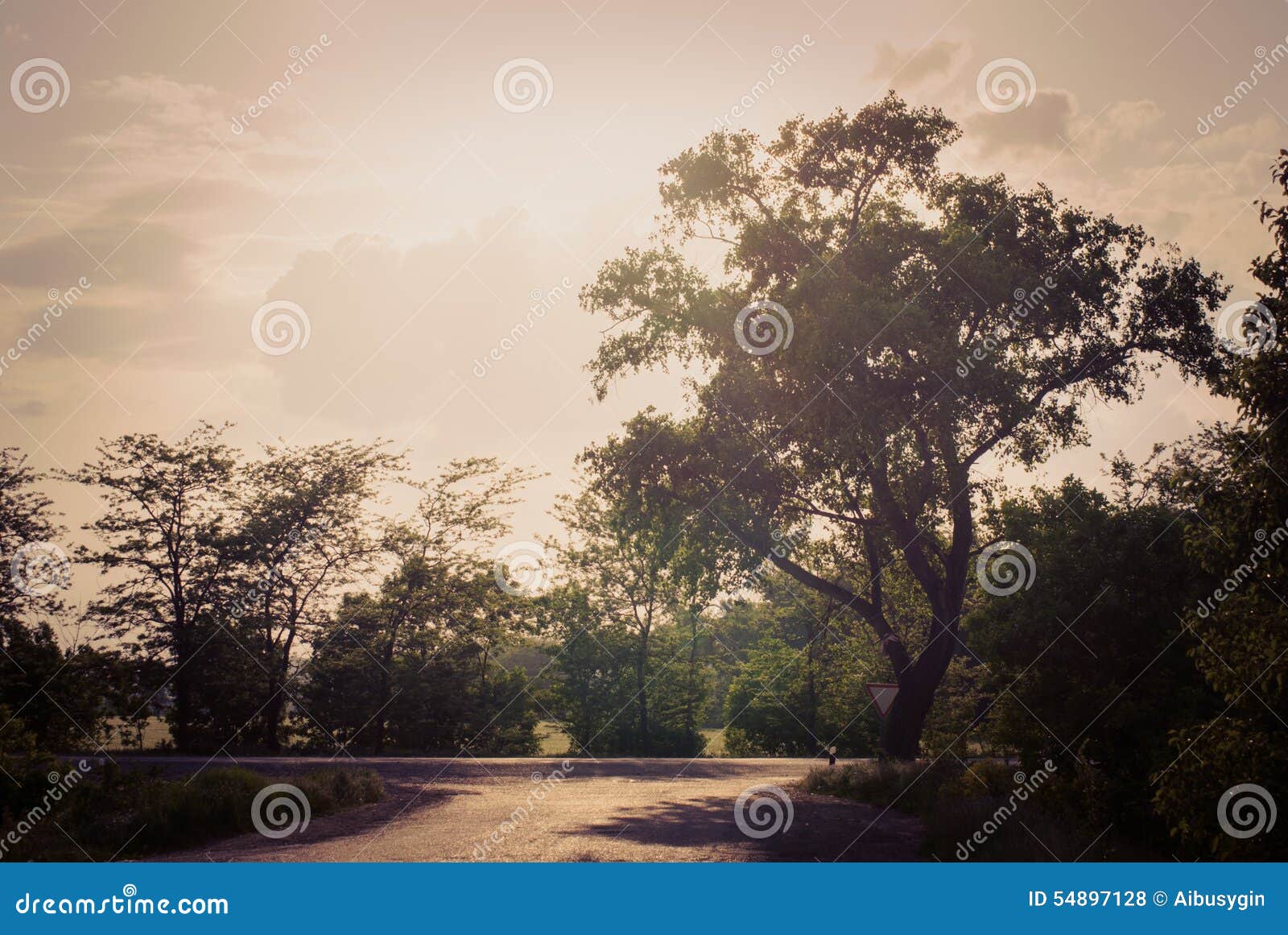 Vintage Landscape stock photo. Image of rural, sepia - 54897128