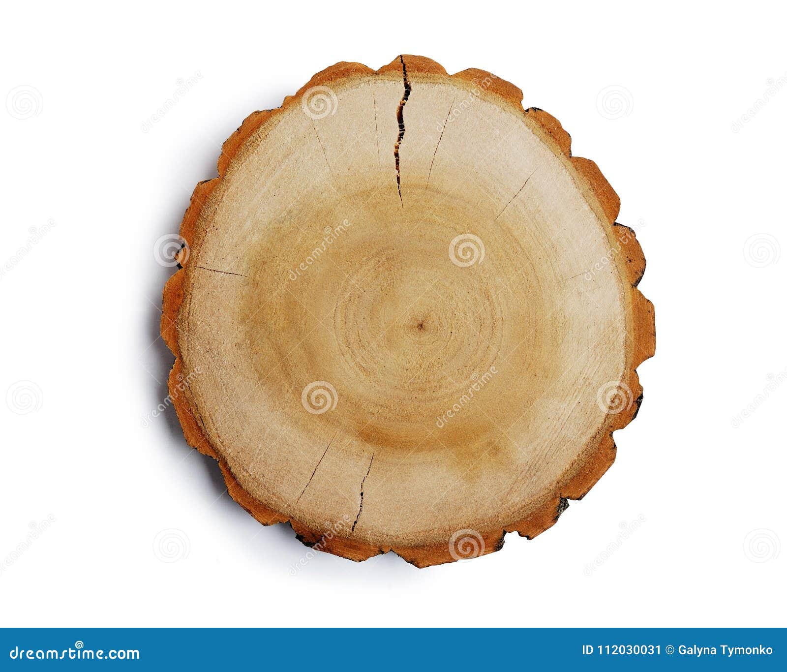 31,939 Wood Section Pattern Stock Photos - Free & Royalty-Free Stock ...