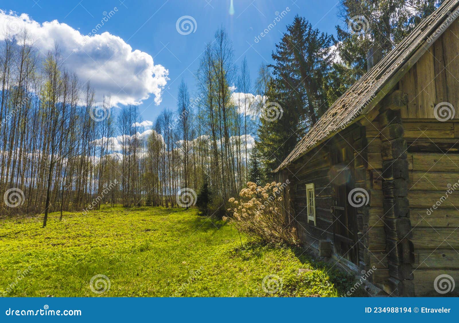 Vintage Log Cabin at Sunny Spring Day in a Forest Stock Photo - Image ...
