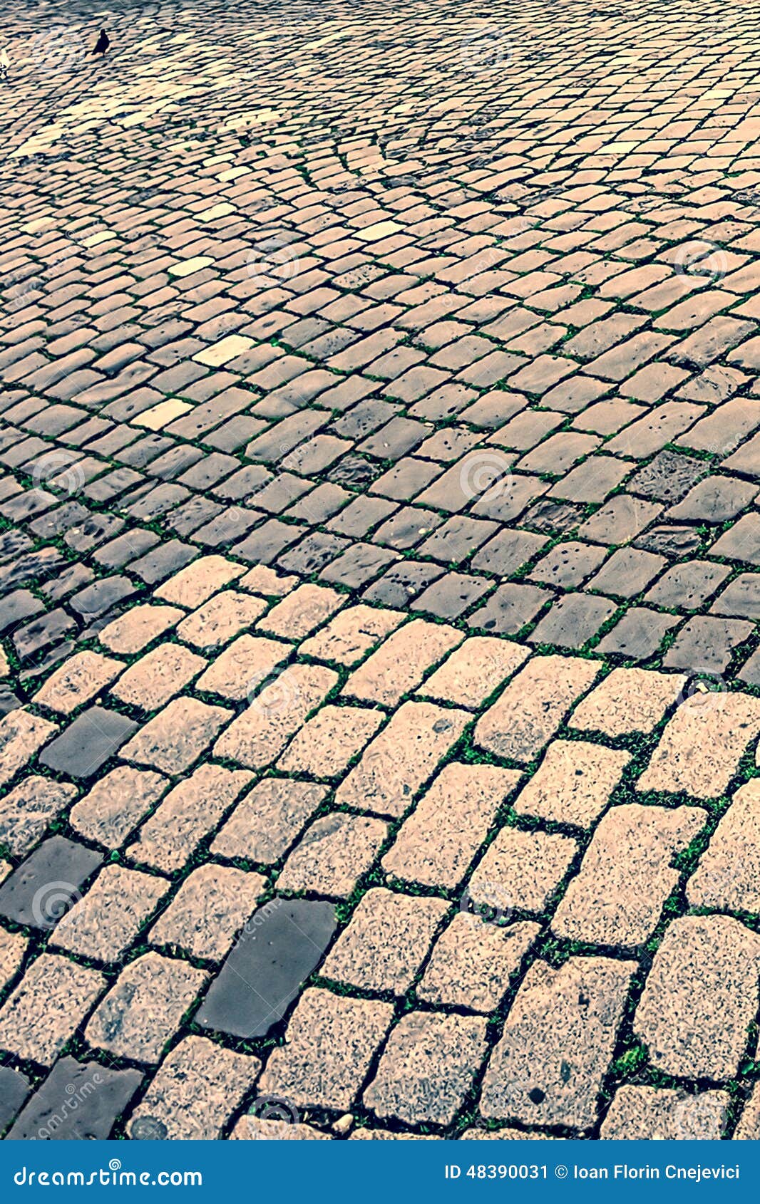 Vintage Look at Cobblestone Sidewalk Stock Image - Image of abstract ...