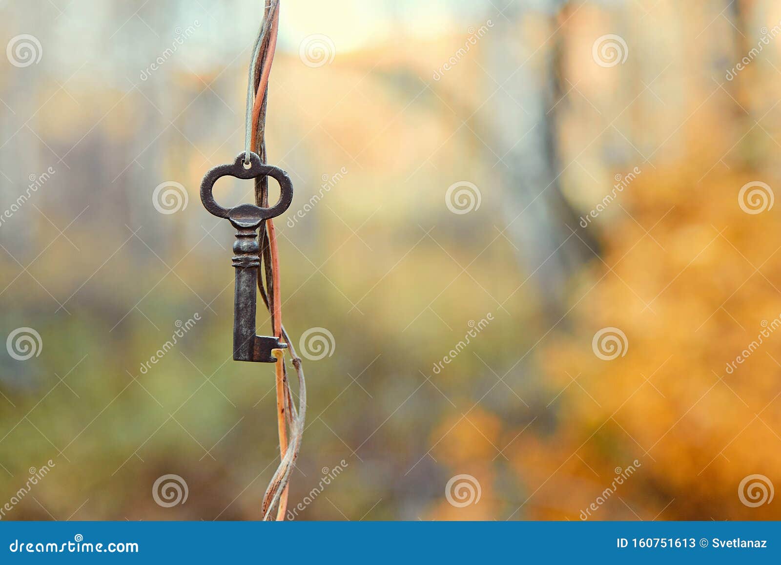 Vintage Lost Key Hanging on a String on a Tree Branch on Autumn Nature ...