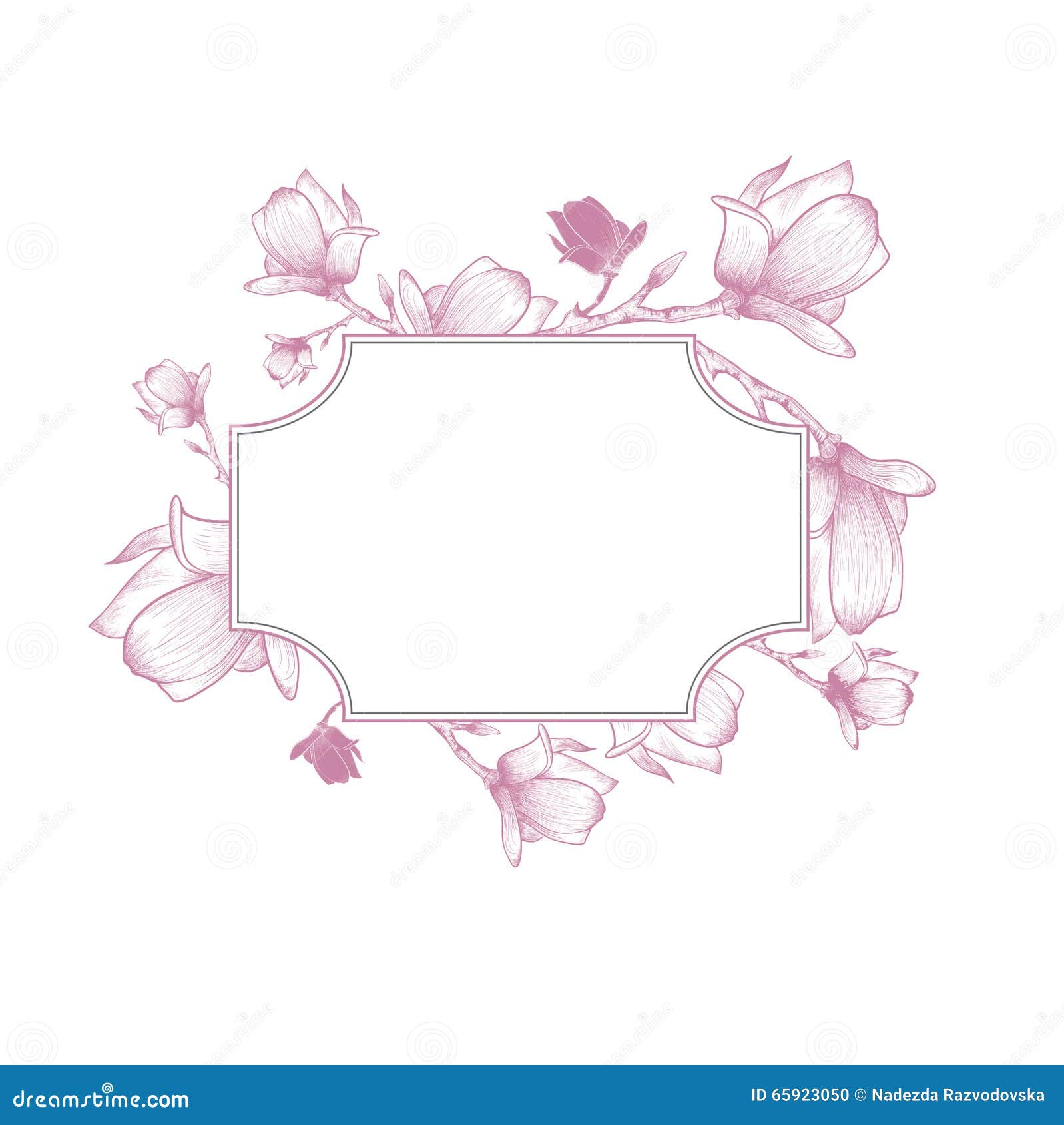 Vintage Magnolia Blossom Flower Border Stock Vector - Illustration of ...