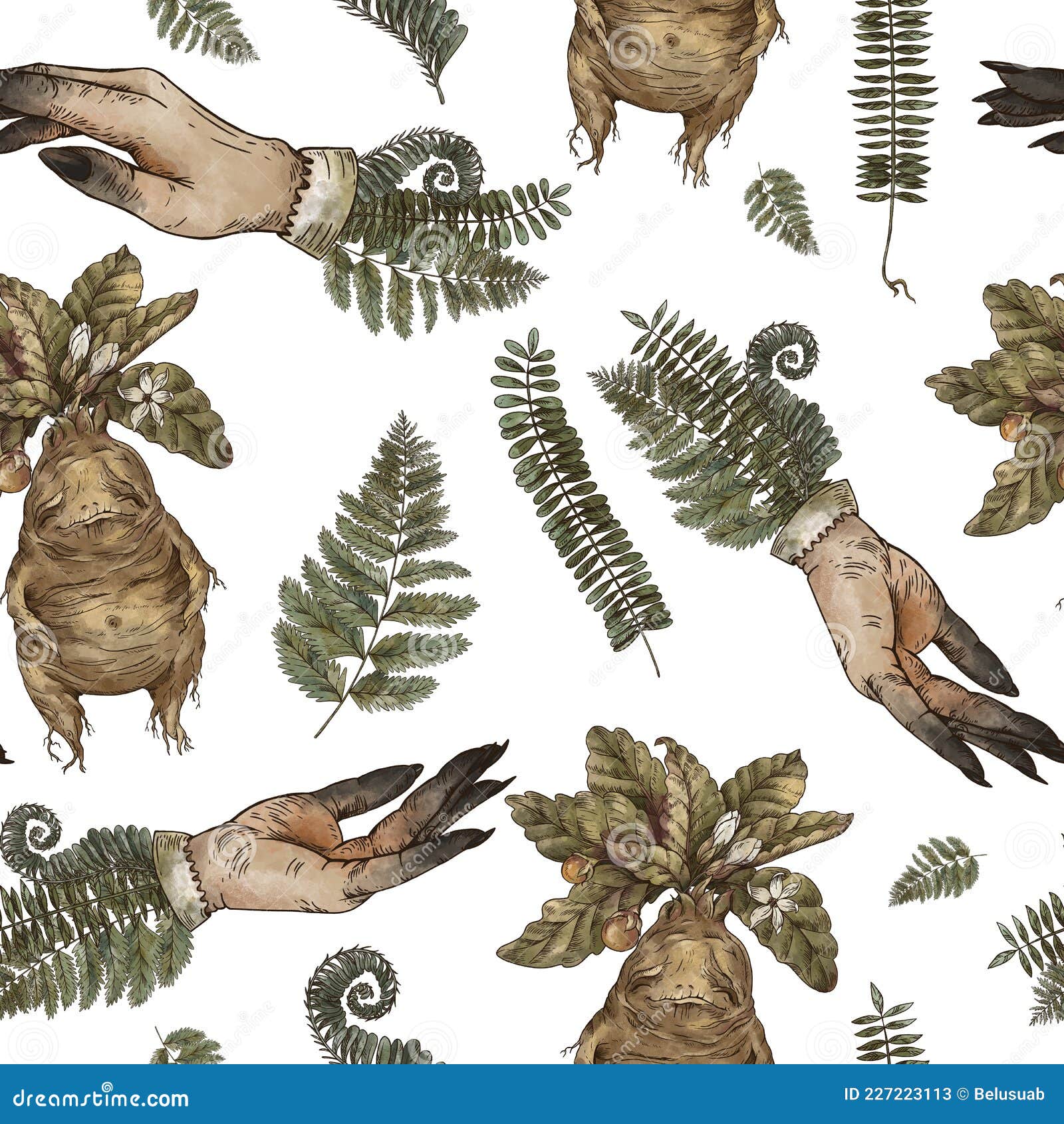 Mandrake Root Or Mandragora Officinarum Vintage Engraving Cartoon ...