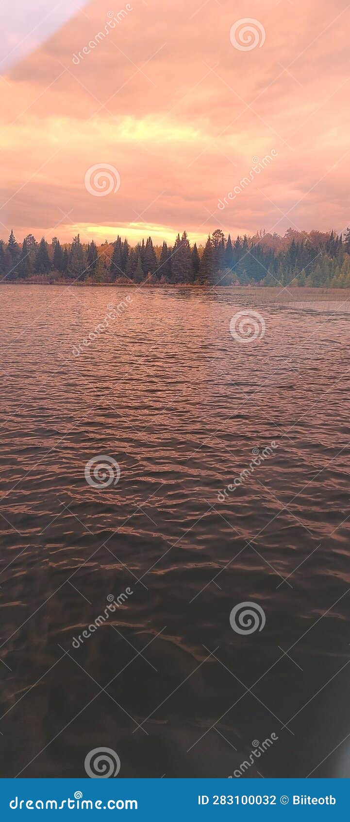 Vintage Mantrap Lake Tree-line Stock Photo - Image of vintage, mantrap ...