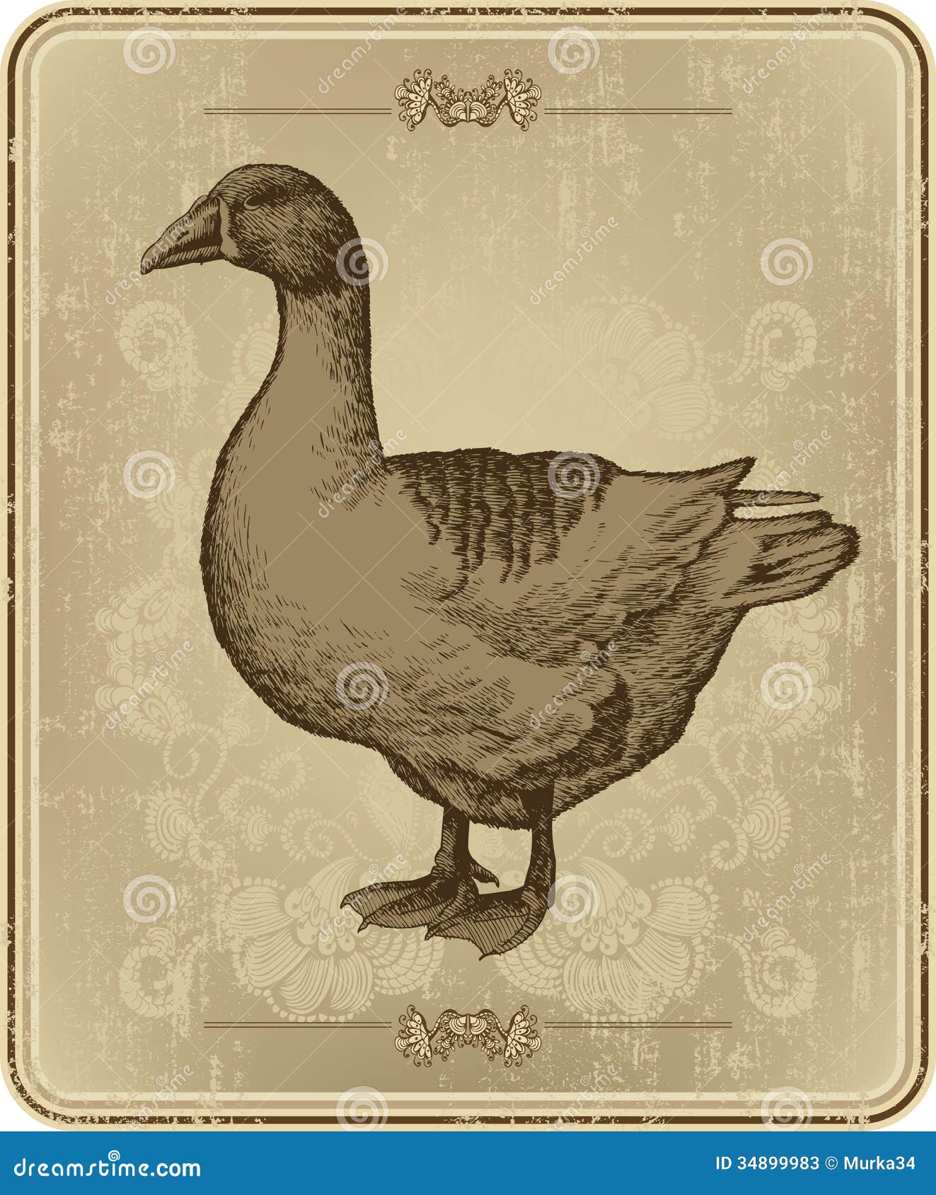 Set Goose Hand Painted Illustration . Pencil Drawing Royalty-Free Stock ...