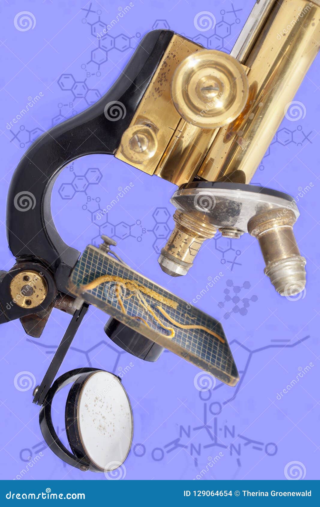 Microscope with sample stock photo. Image of science - 129064654