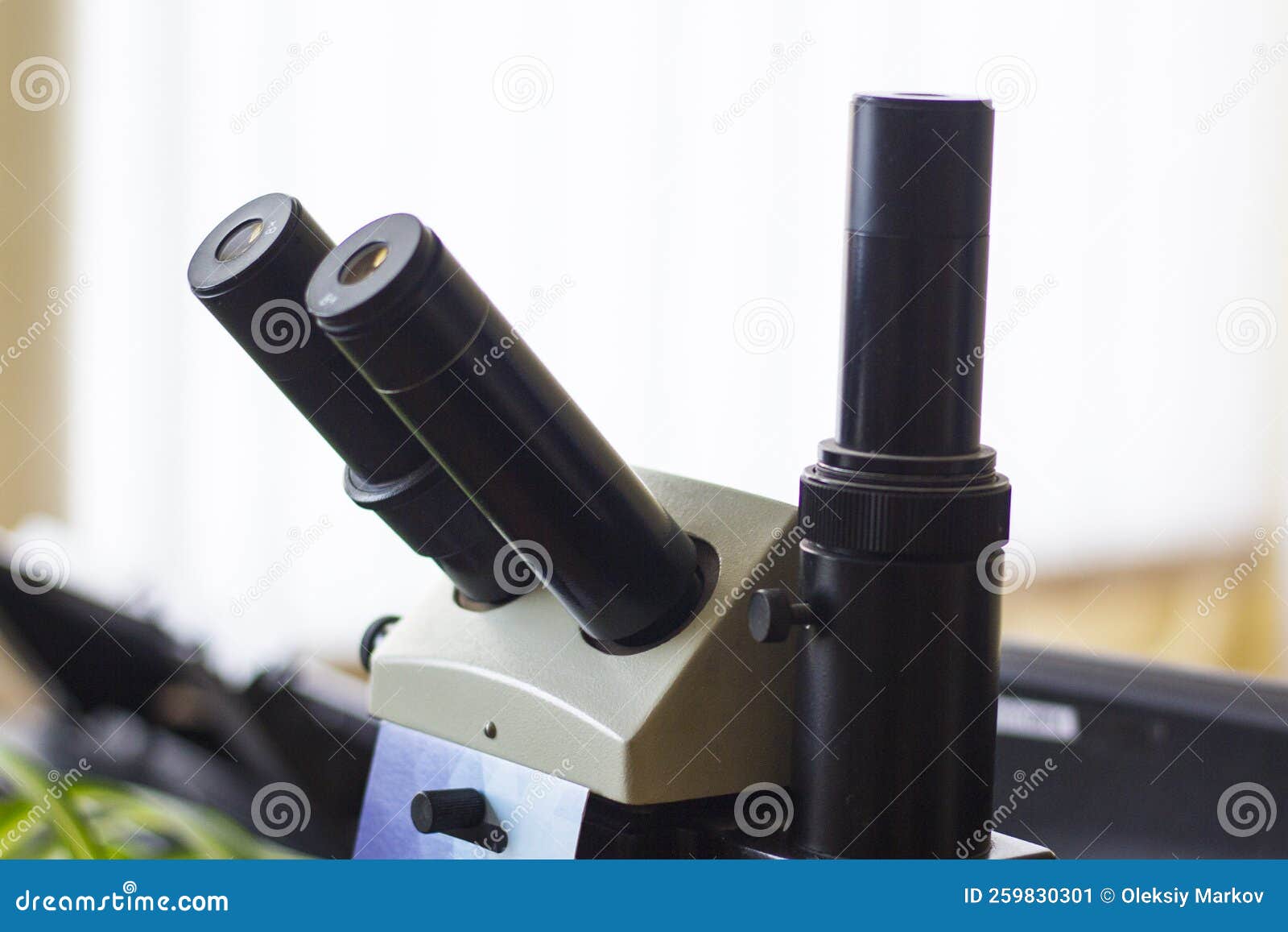 Vintage Microscope for Two Eyes Close-up Stock Image - Image of ...