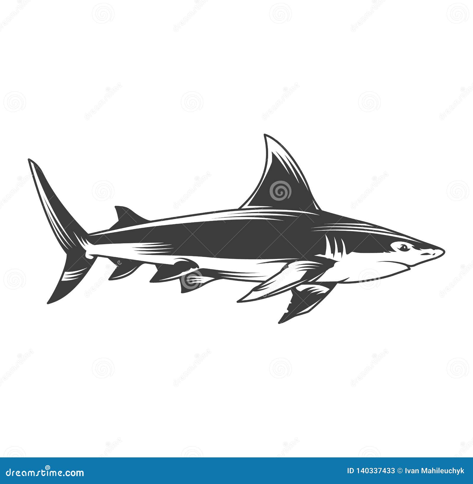 Vintage Monochrome Shark Side View Concept Stock Vector - Illustration ...