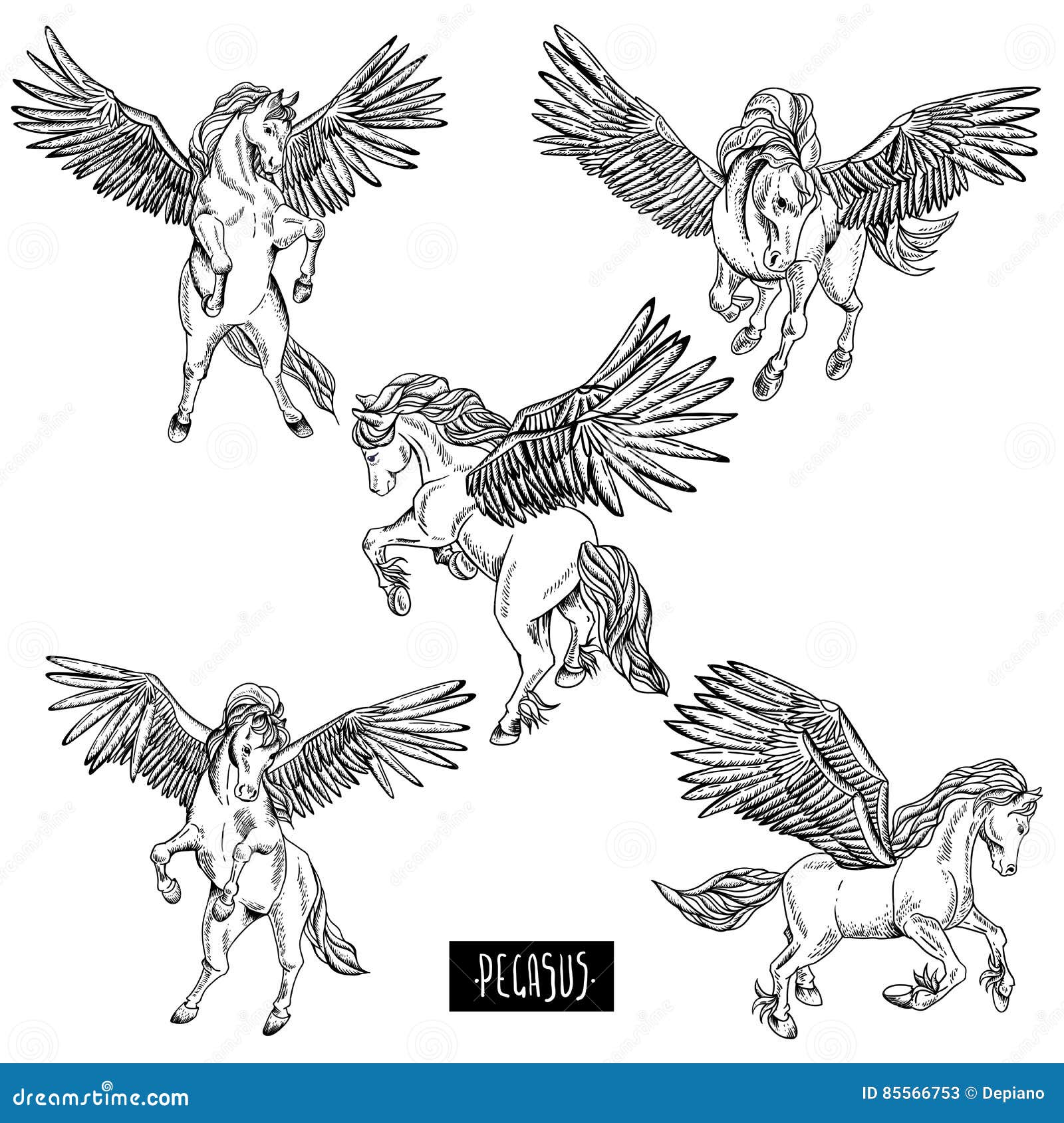 Vintage Monochrome Vector Set of Winged Pegasus Stock Vector ...