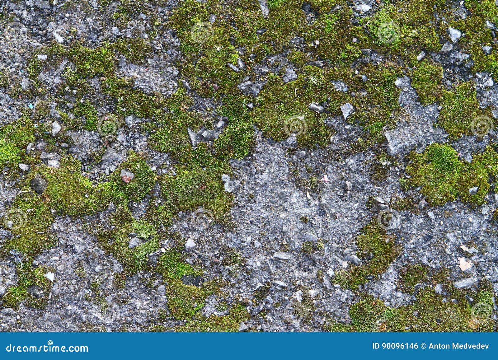 Vintage Moss on the Stone Pattern Stock Photo - Image of structure ...