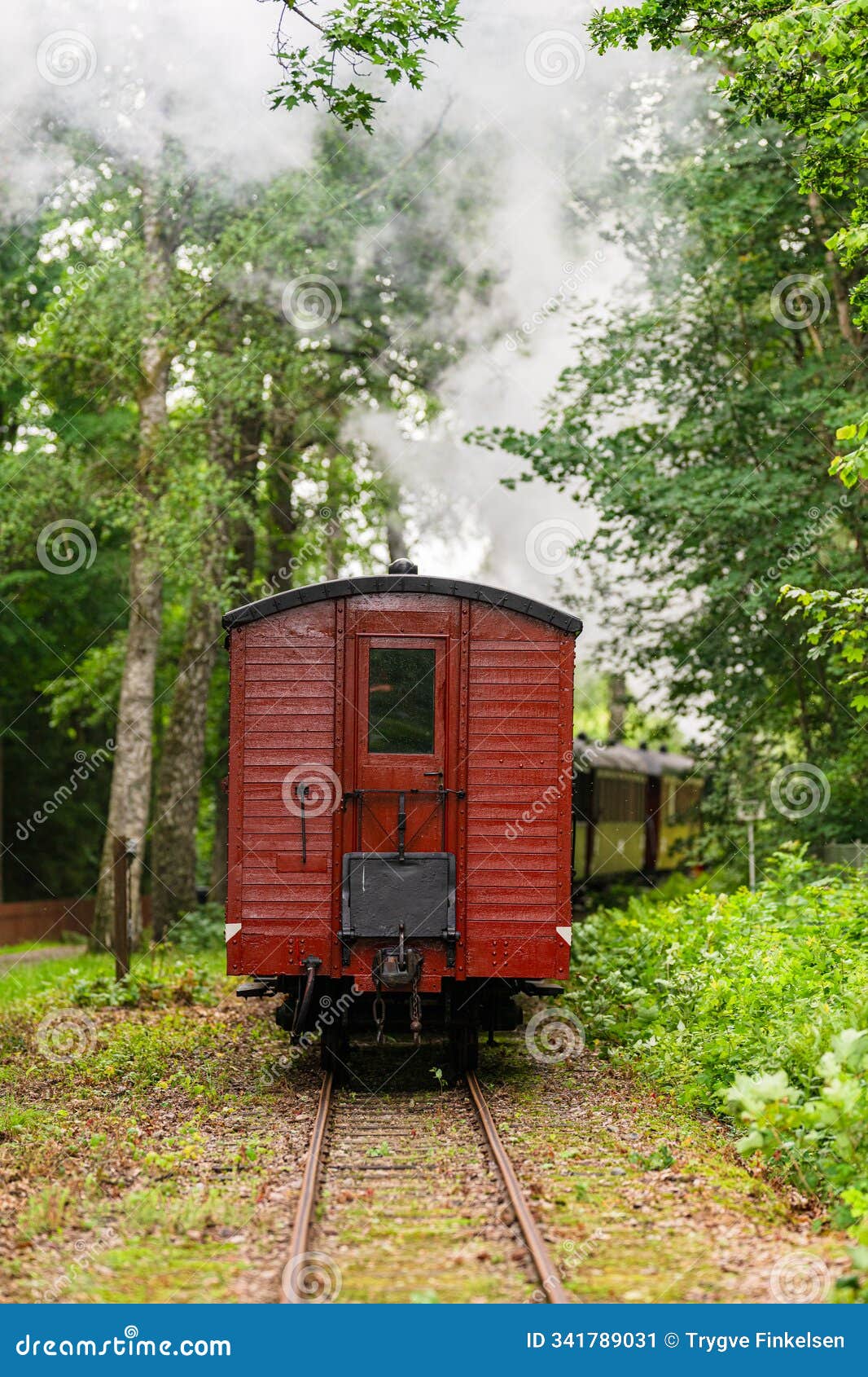 Vintage Museum Steam Train Rolling through Green Forest.. Stock Image ...