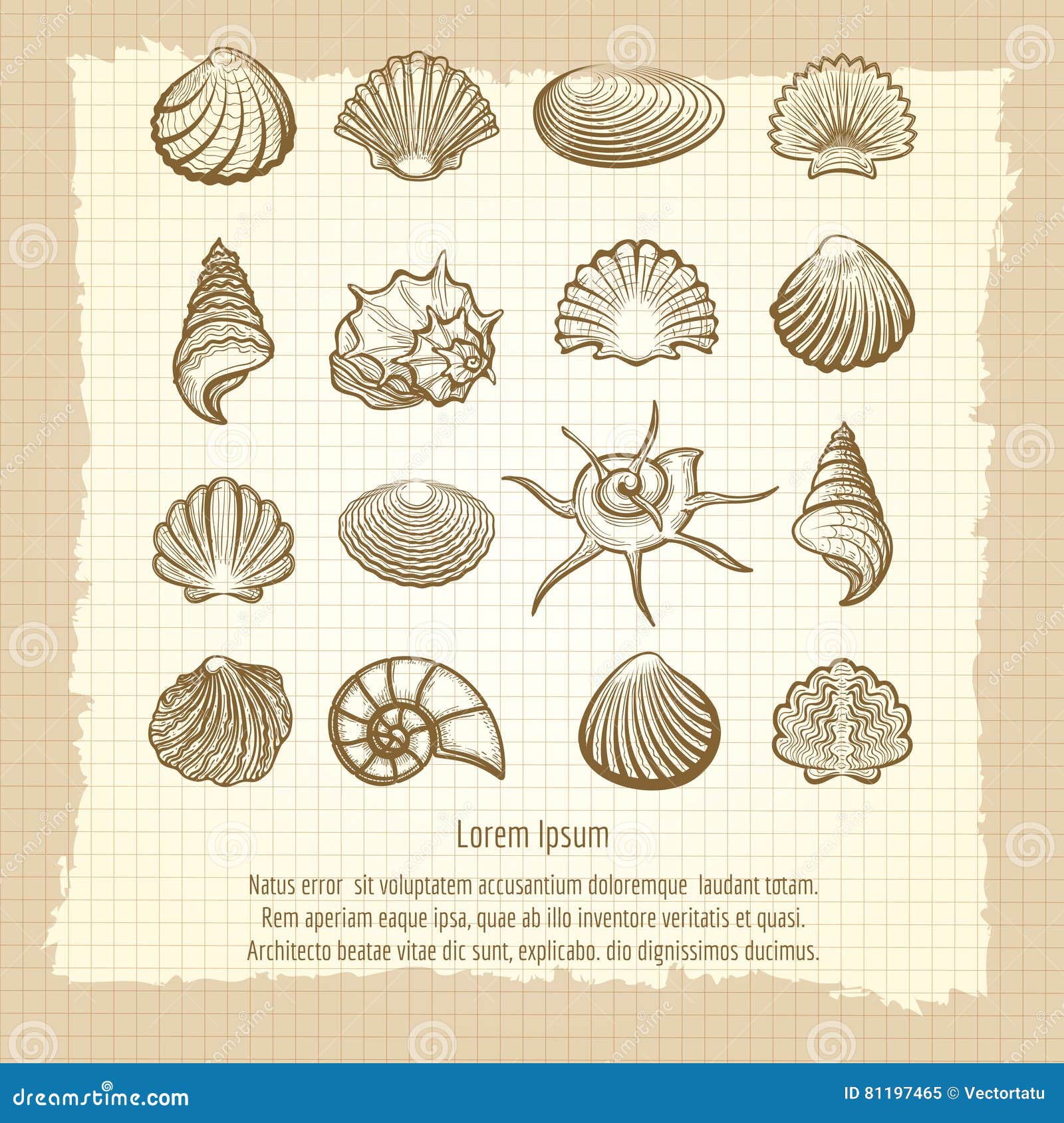 Vintage Notebook Page with Sea Shells Stock Vector - Illustration of ...