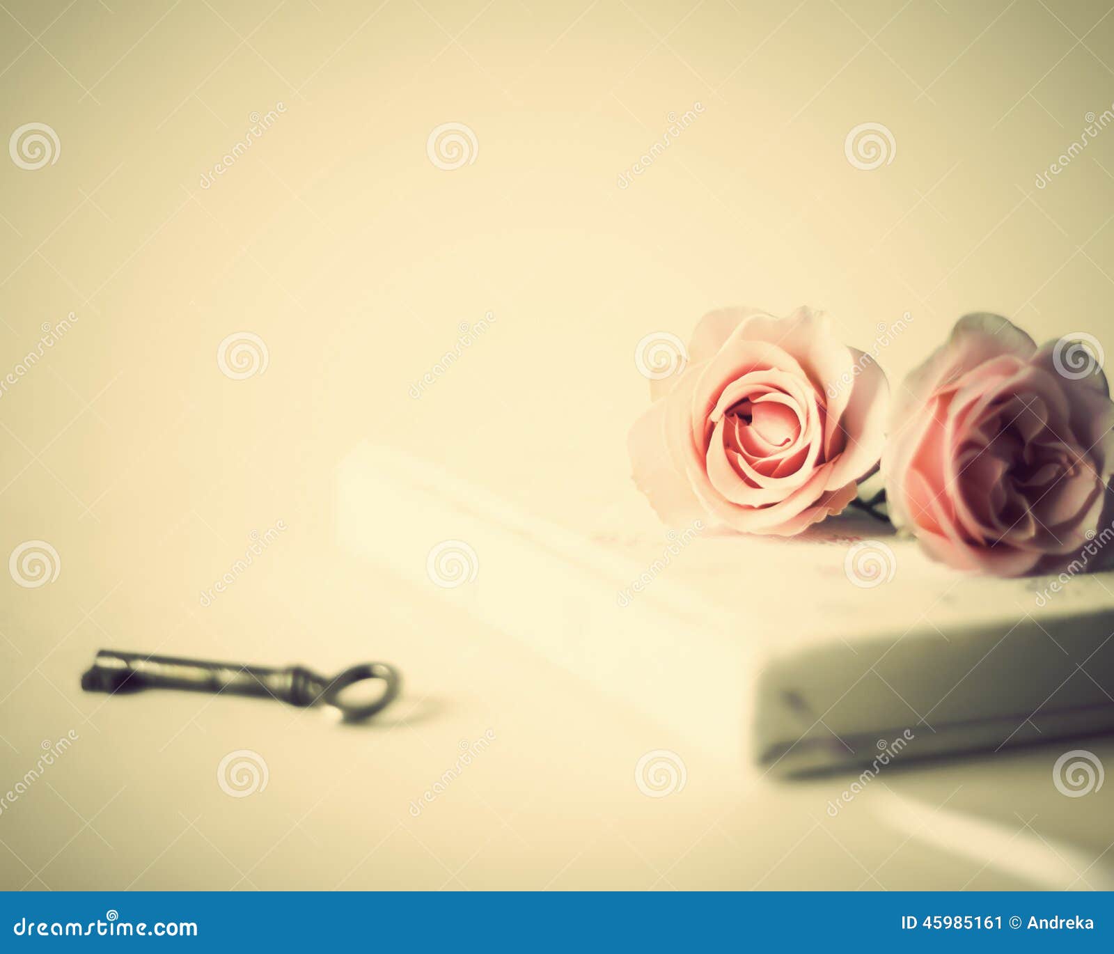 Vintage notebook and roses stock image. Image of camera - 45985161