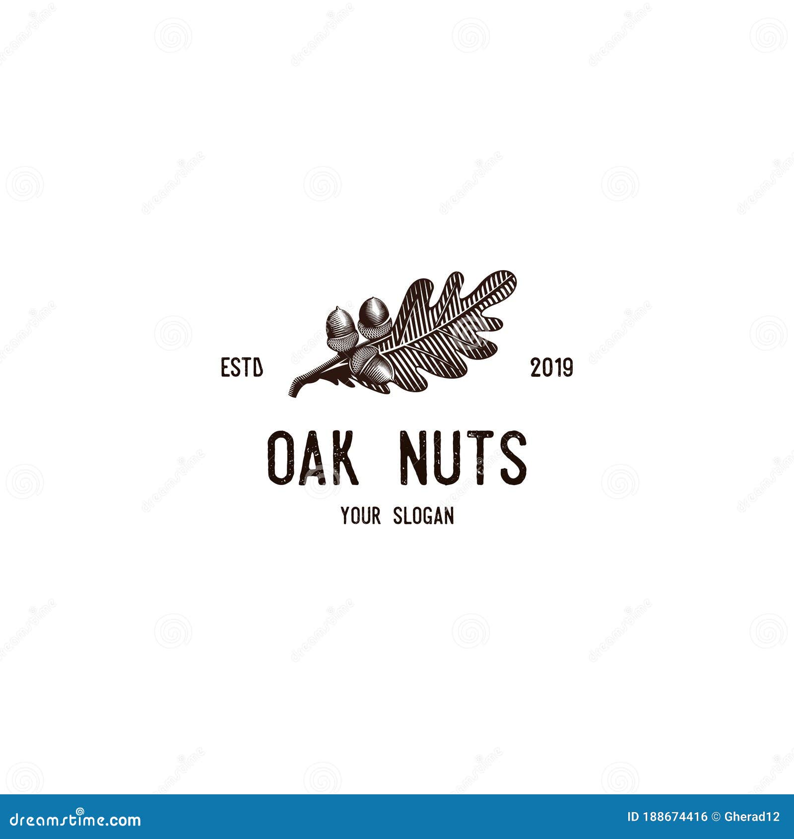 Vintage oak nut and leaf stock illustration. Illustration of object ...