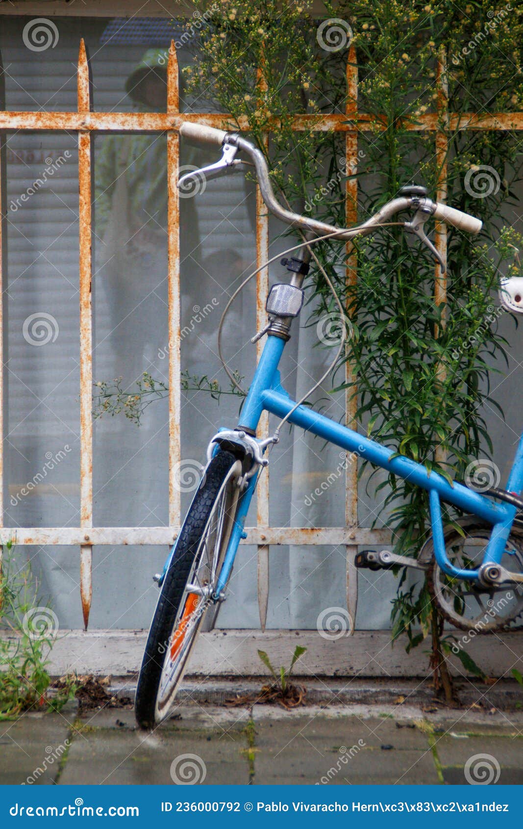 Vintage and Old Blue Rusty Bicycle Abandoned Stock Photo - Image of ...