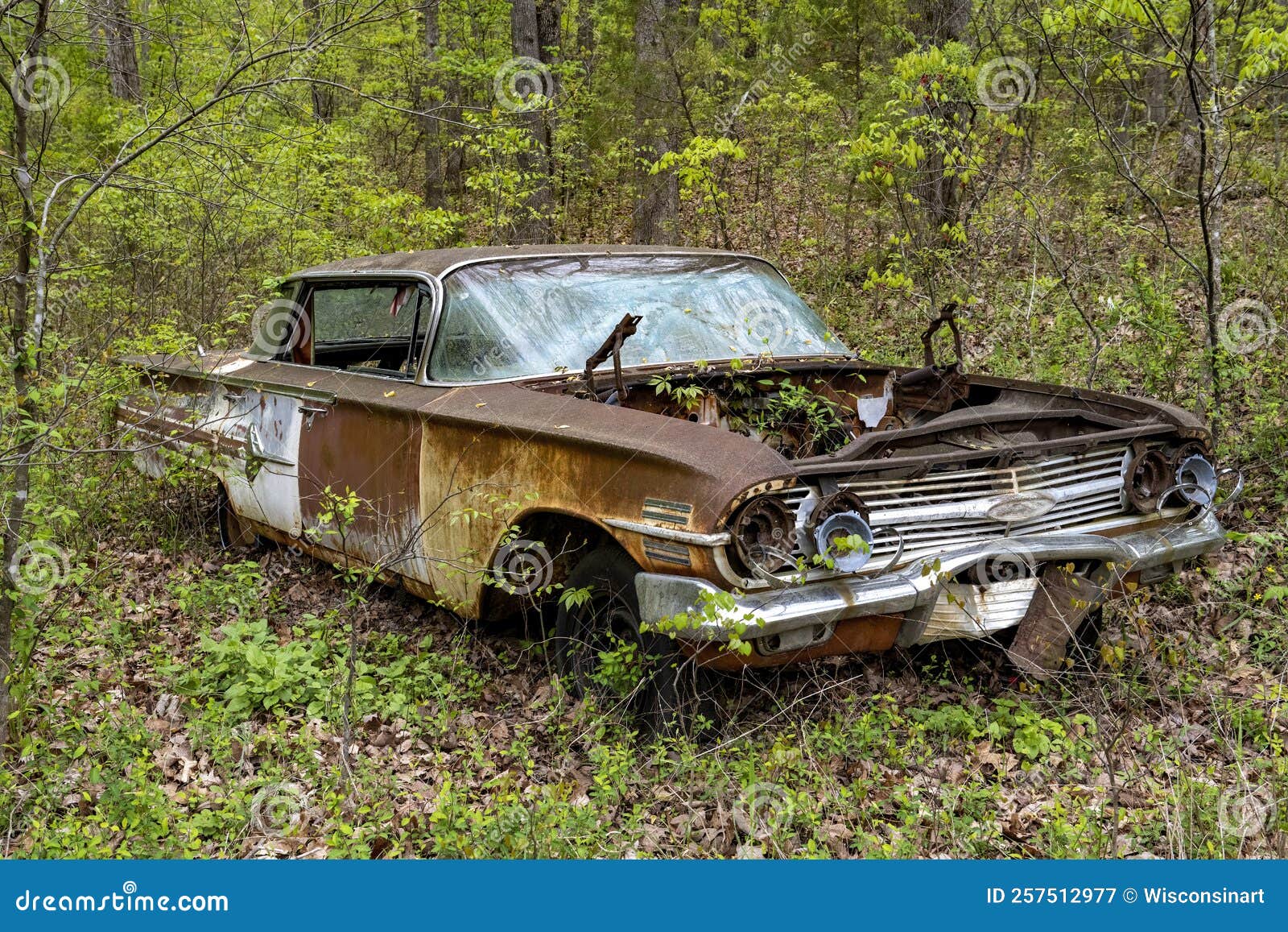 Vintage Old Car, Rust, Woods Editorial Photography - Image of ...