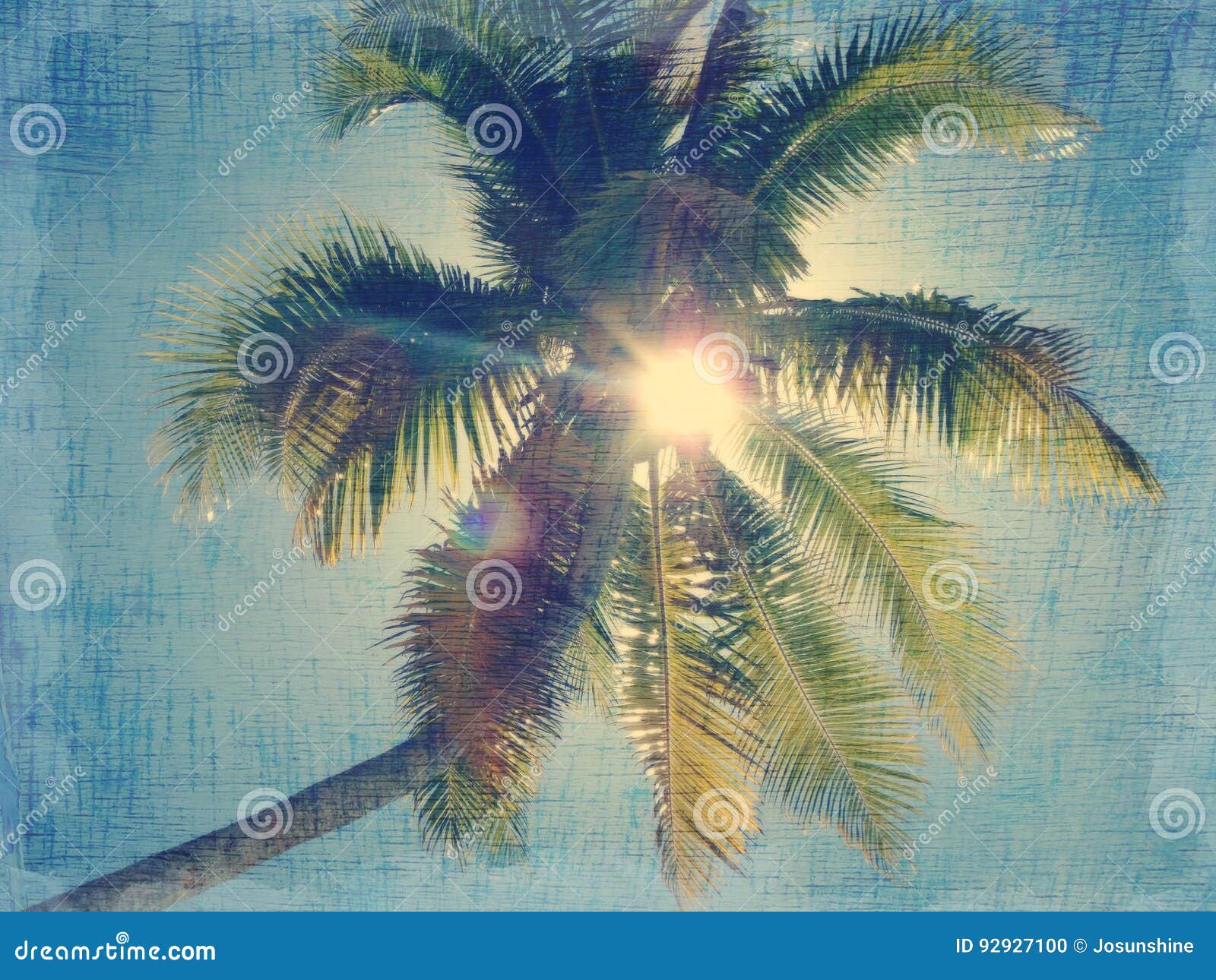 Vintage Palm Tree stock photo. Image of anitque, plant - 92927100