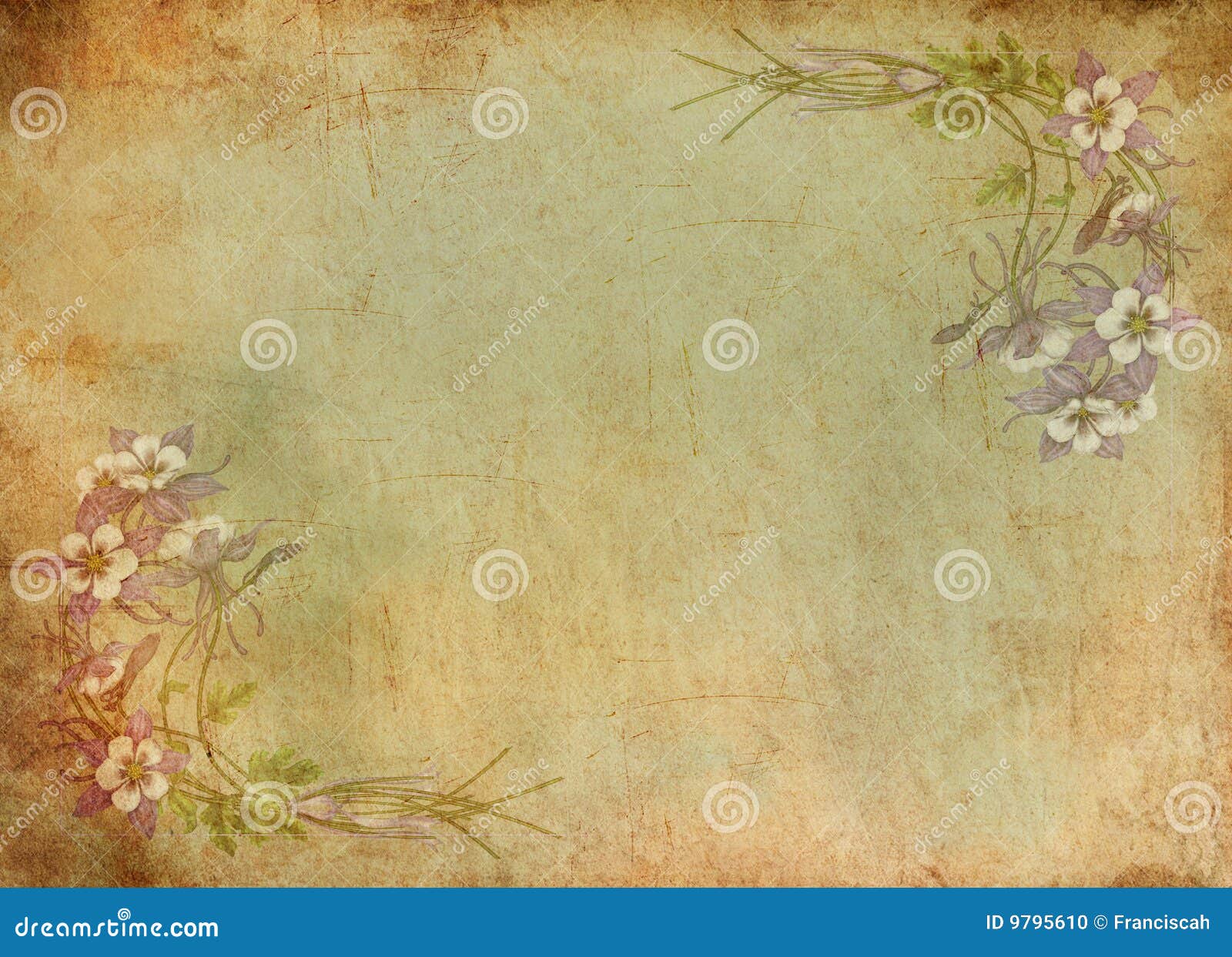 Vintage paper stock illustration. Illustration of magnolia - 9795610