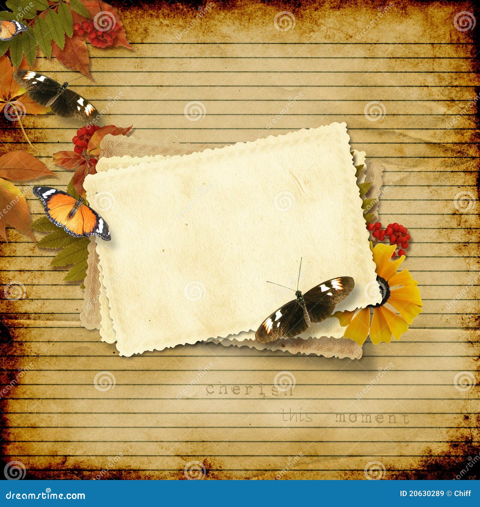 Vintage Paper Background with Old Card and Butterf Stock Image - Image ...