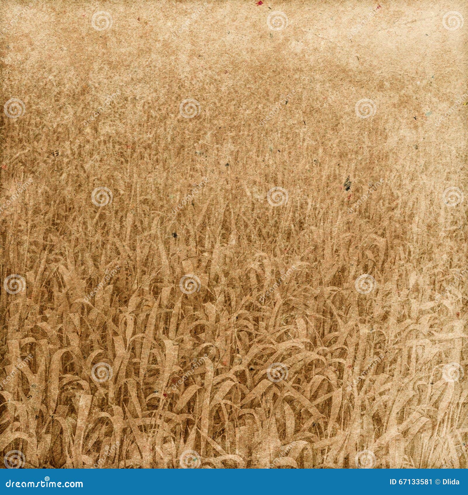Vintage Paper. Field of Wheat. Stock Image - Image of plant, land: 67133581