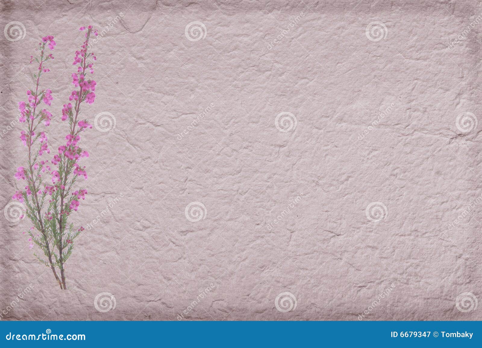 Vintage paper with heather stock image. Image of card - 6679347