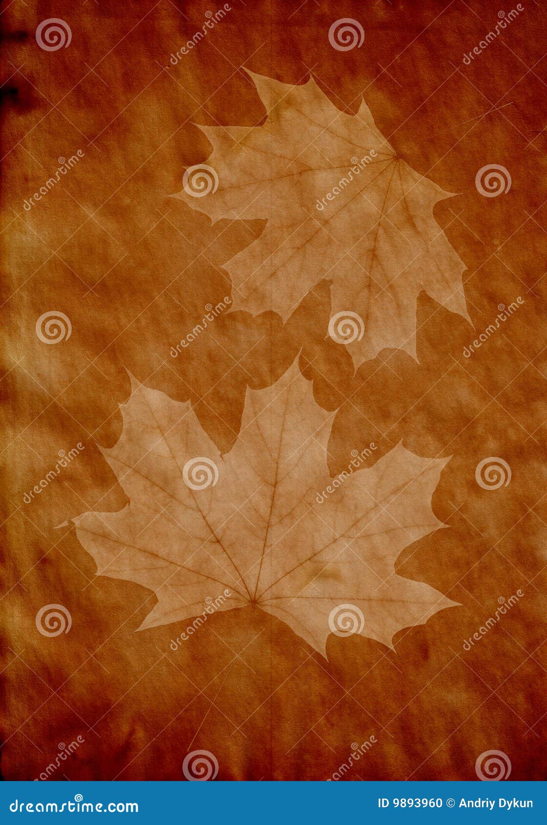 Maple Leaf Stamp Stock Illustrations – 1,516 Maple Leaf Stamp Stock ...
