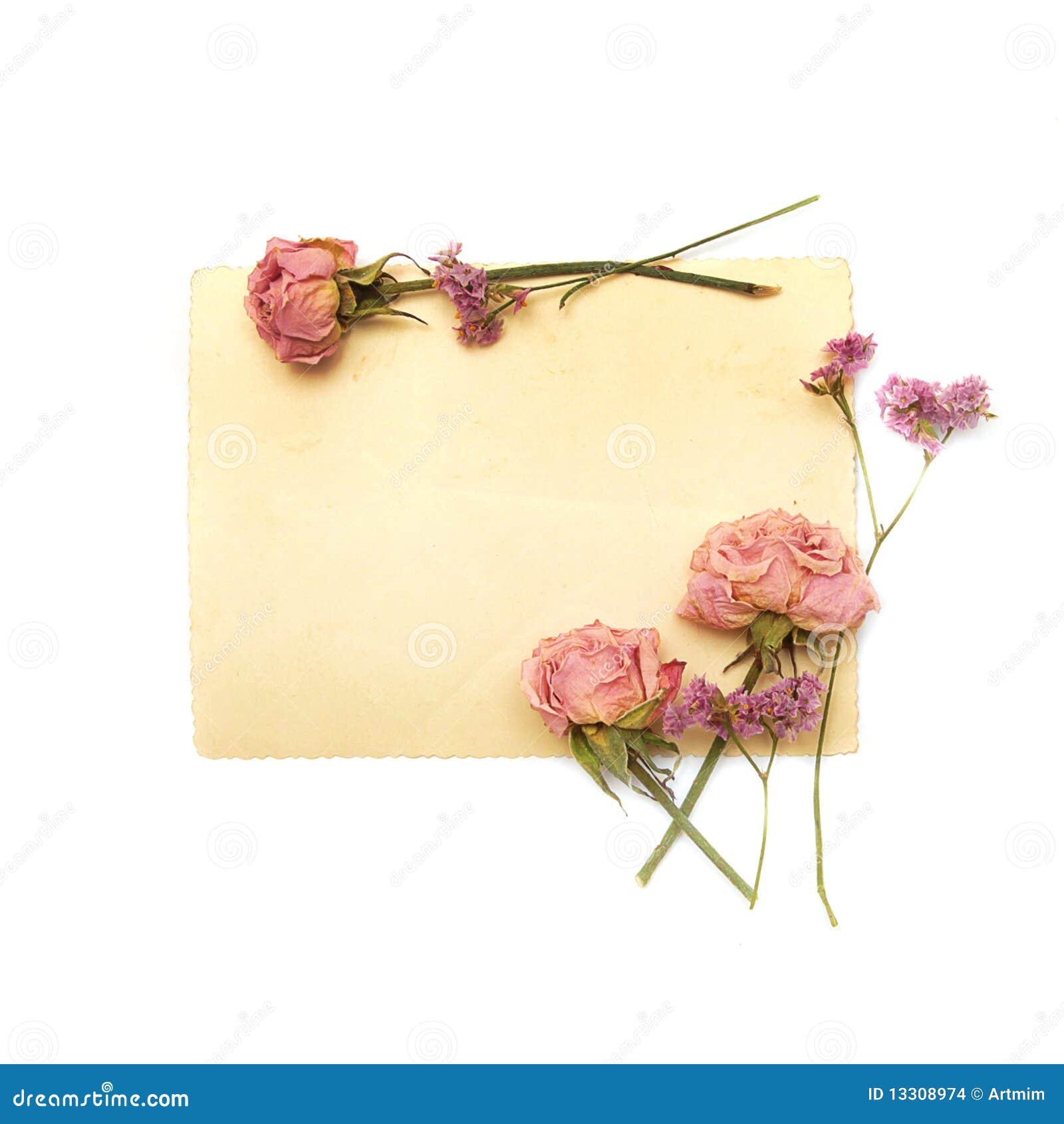 231 Vintage Paper Roses Violet Flowers Stock Photos - Free & Royalty ...