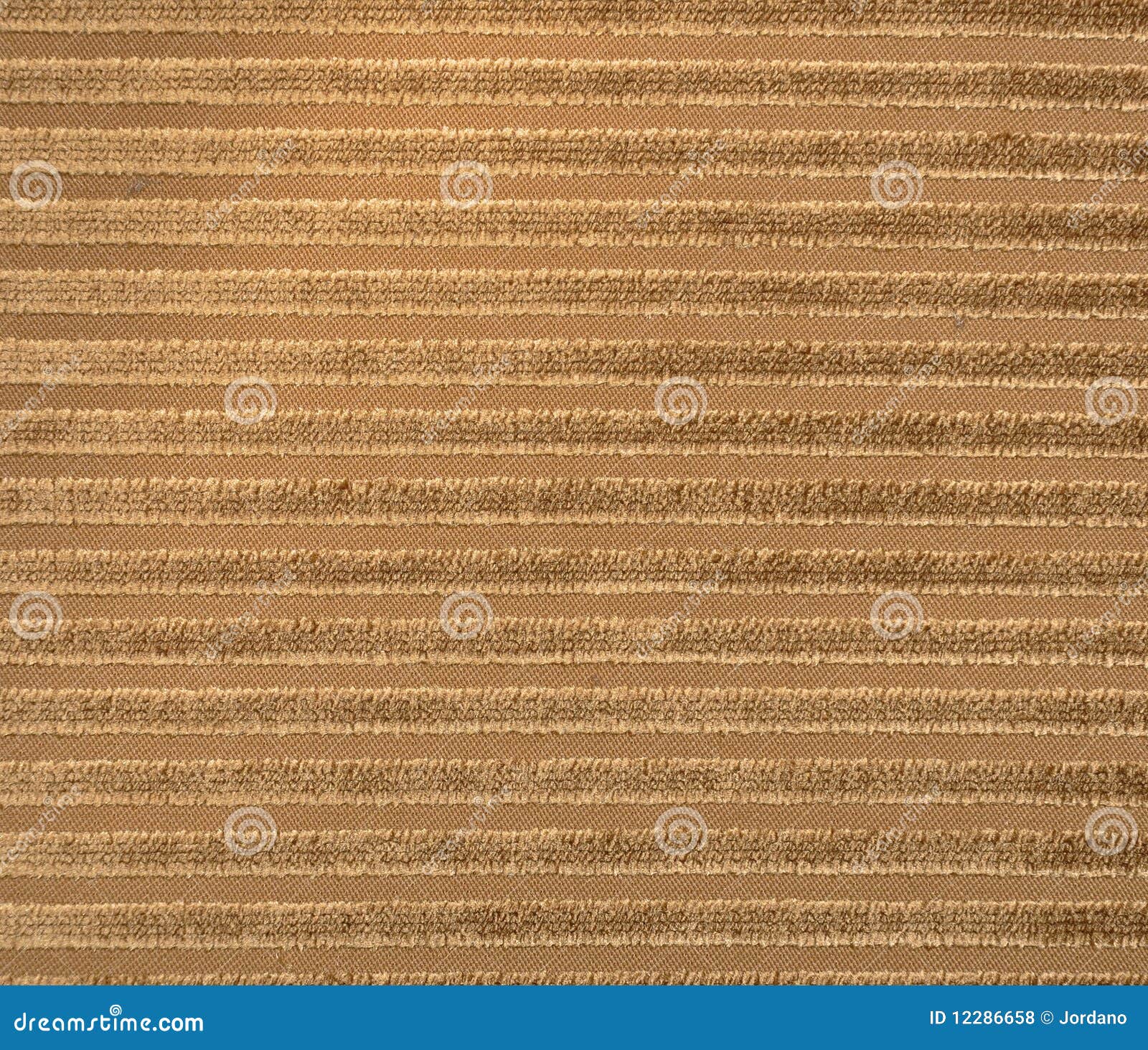 Pattern Striped Tiger Or Zebra Skin Print Background, Long Banner ...