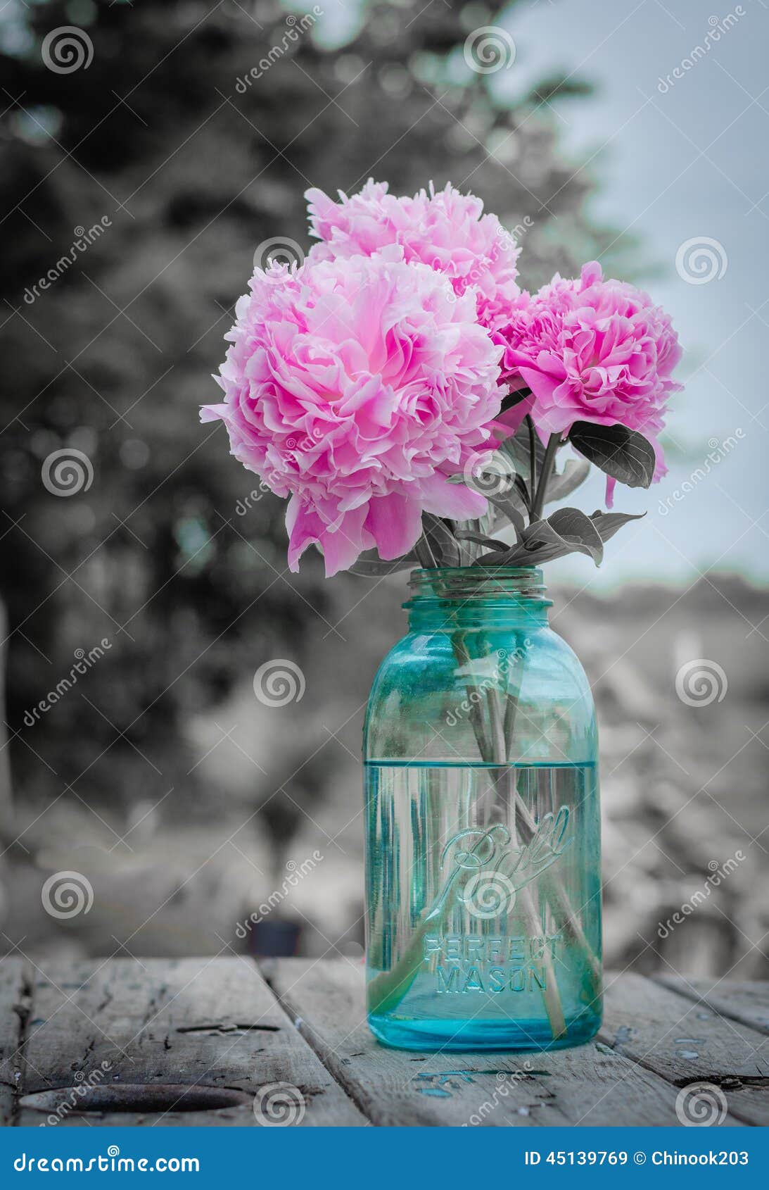Vintage peonies stock image. Image of pink, flowers, water - 45139769
