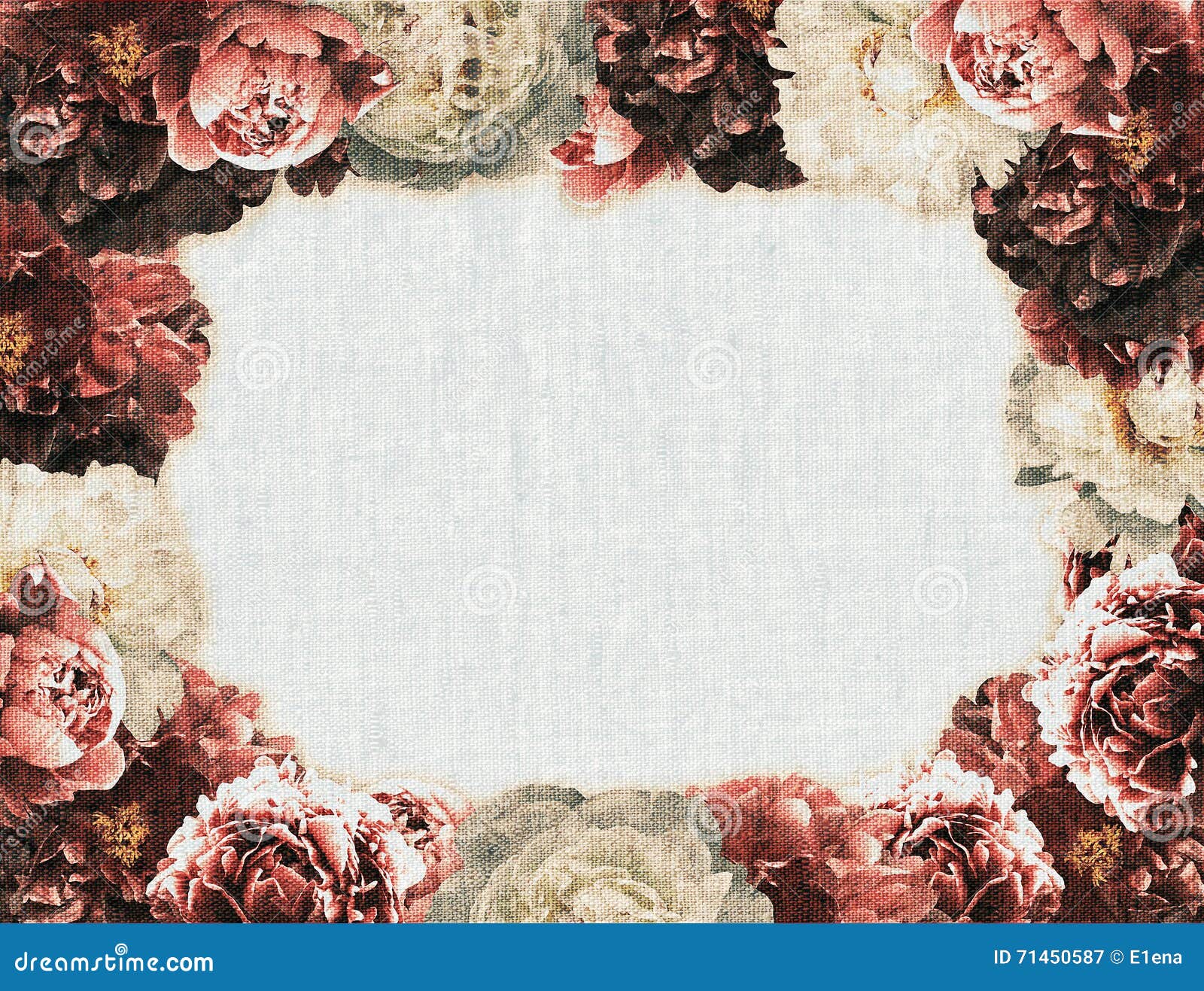 Vintage peony frame stock image. Image of style, garden - 71450587