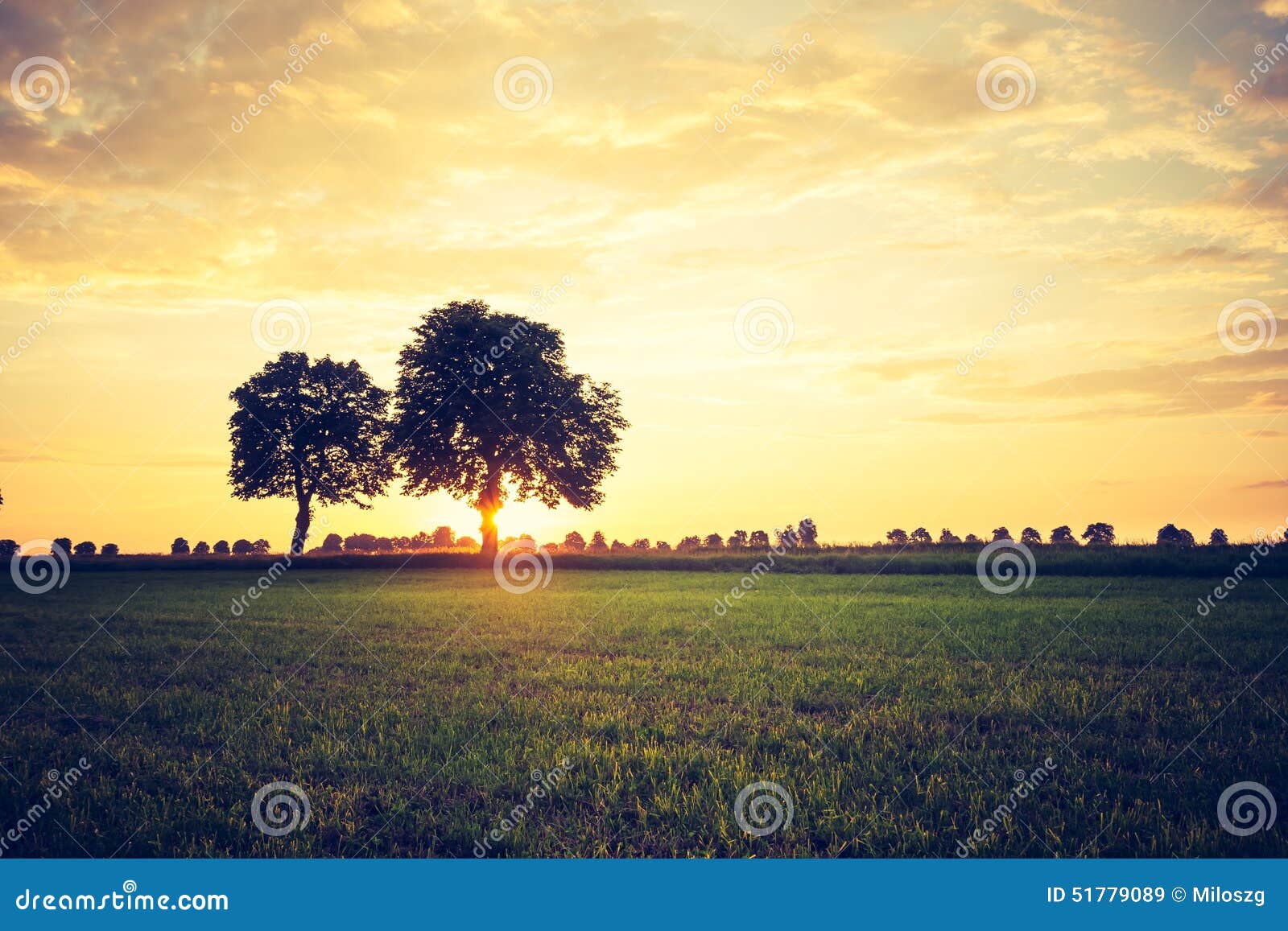 Vintage Photo of Sunset Over Trees Stock Image - Image of land, blue ...