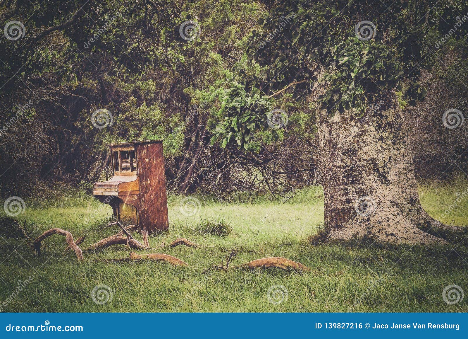 A Vintage Piano Left Outdoors Stock Photo - Image of broken, autumn ...