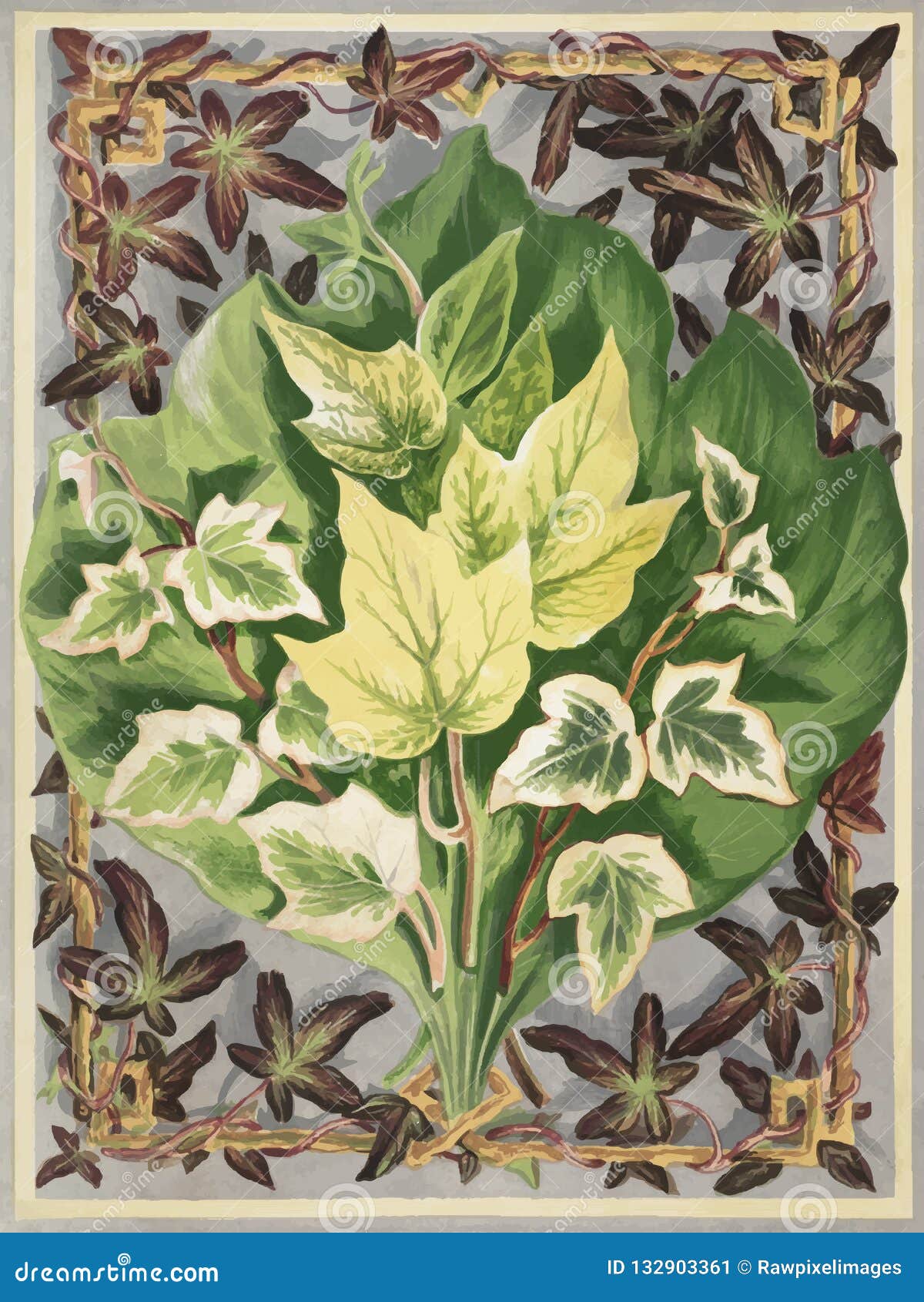 Vintage Plants and Leaves Illustration Stock Vector - Illustration of ...