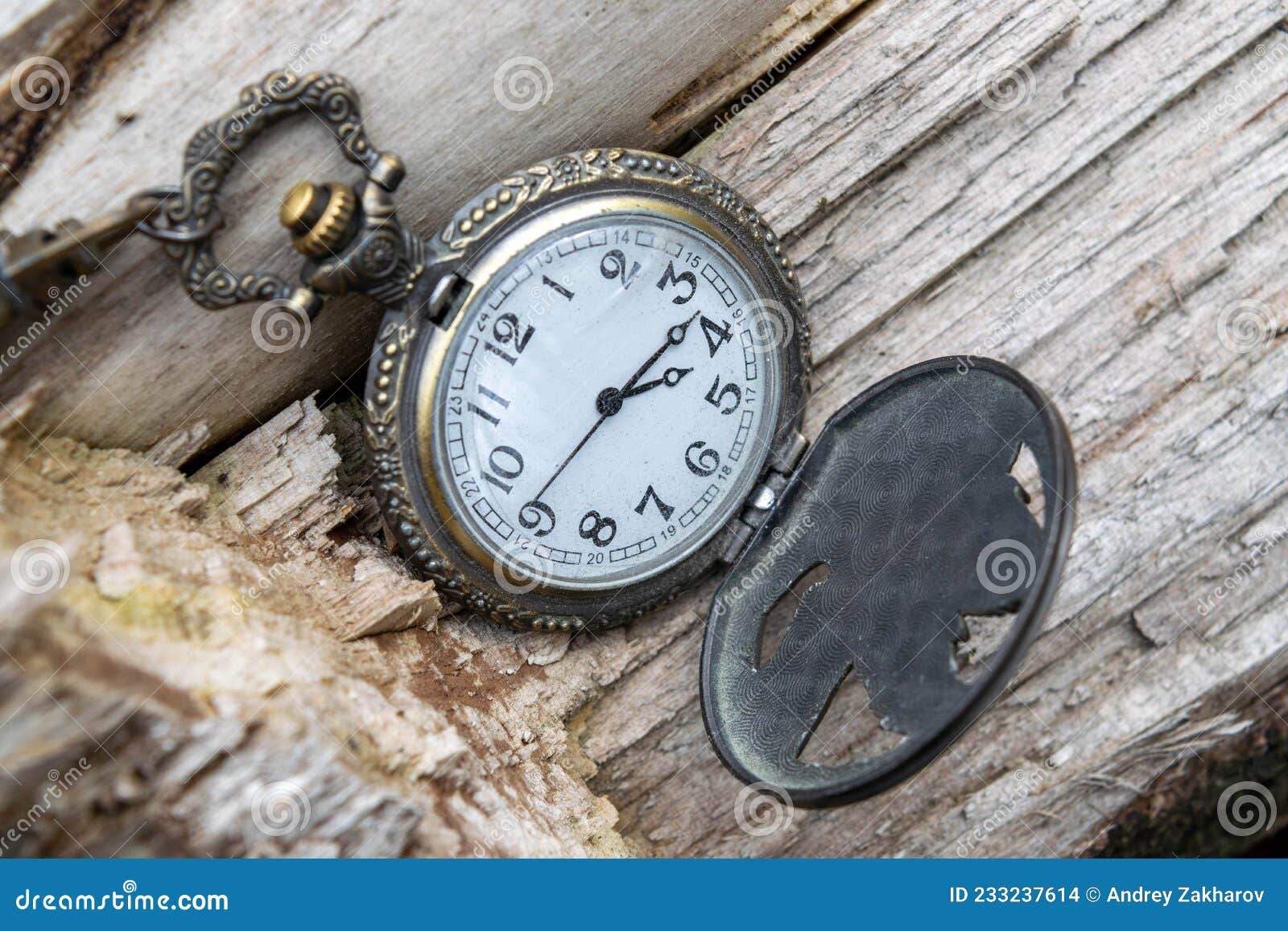 Vintage Pocket Watch Lying on the Ground, Close-up, Selective Focus ...