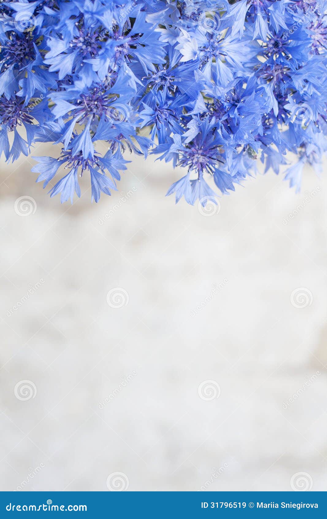 4,160 Vintage Postcard Effect Photos - Free & Royalty-Free Stock Photos ...